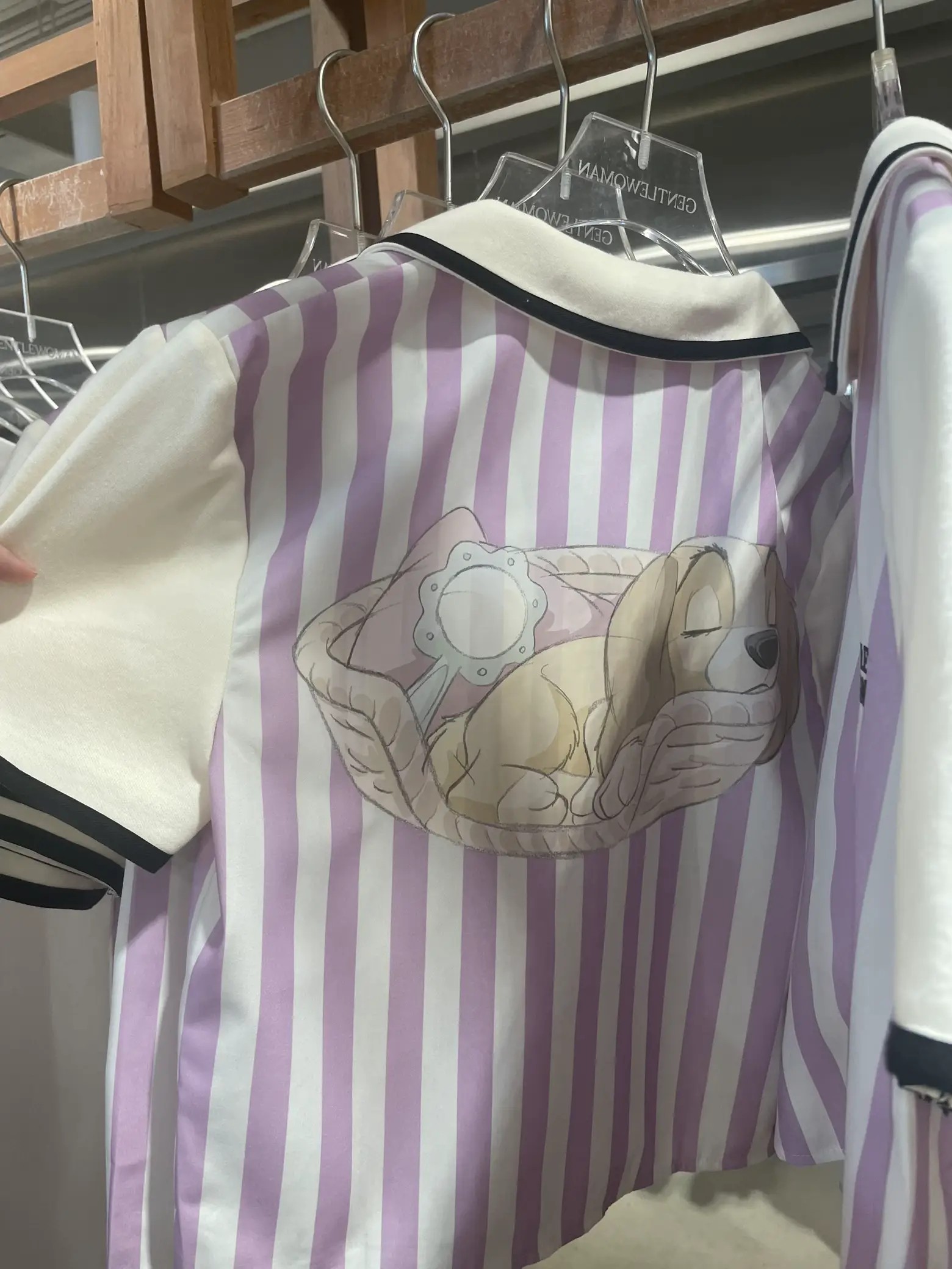 Gentlewoman lady & the tramp🐶🎀🫠 | แกลเลอรีที่โพสต์โดย Forthsarin | Lemon8