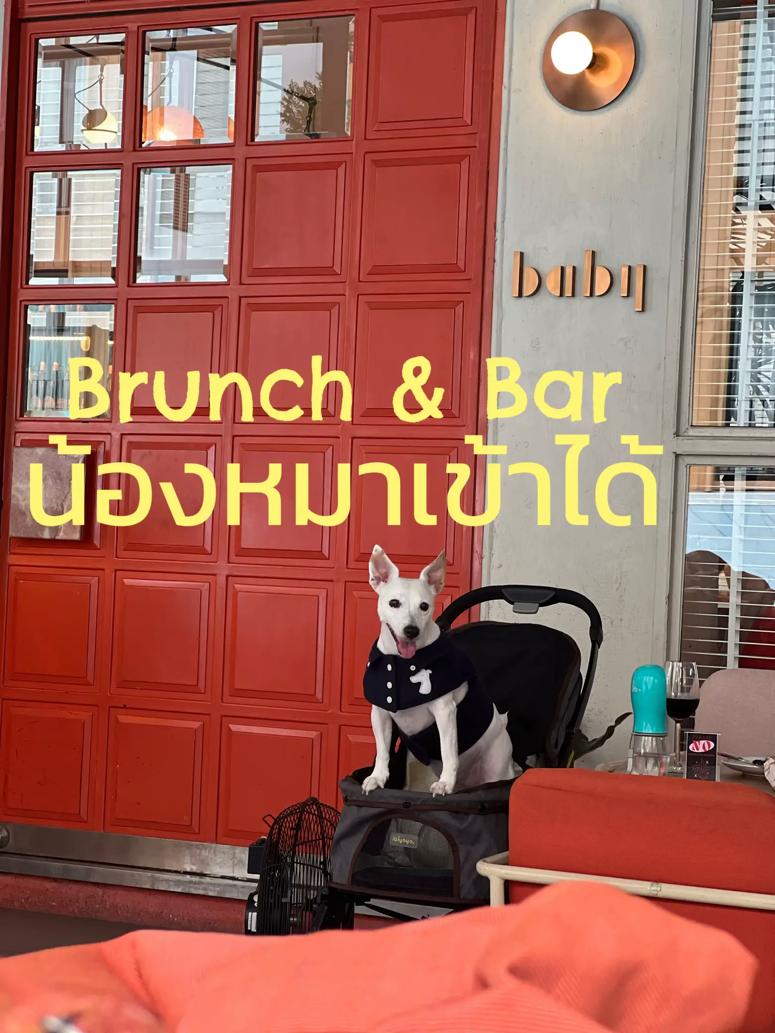 BABY BAR 🥂 Brunch & Bar น้องหมาเข้าได้ | แกลเลอรีที่โพสต์โดย Chada | Lemon8