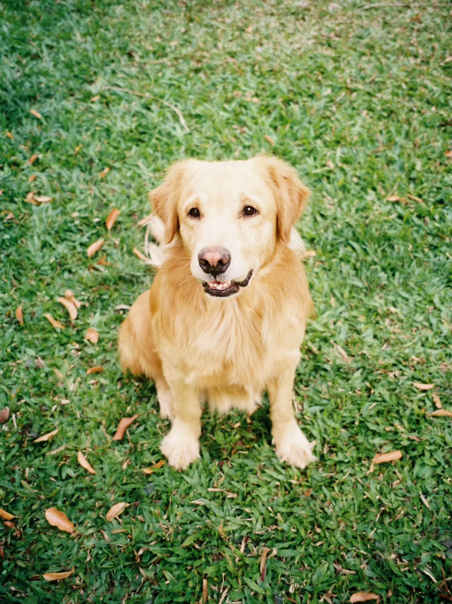 รีวิวกล้องฟิล์ม Canon Autoboy Panora S 📸🎞 | แกลเลอรีที่โพสต์โดย Chutyao | Lemon8