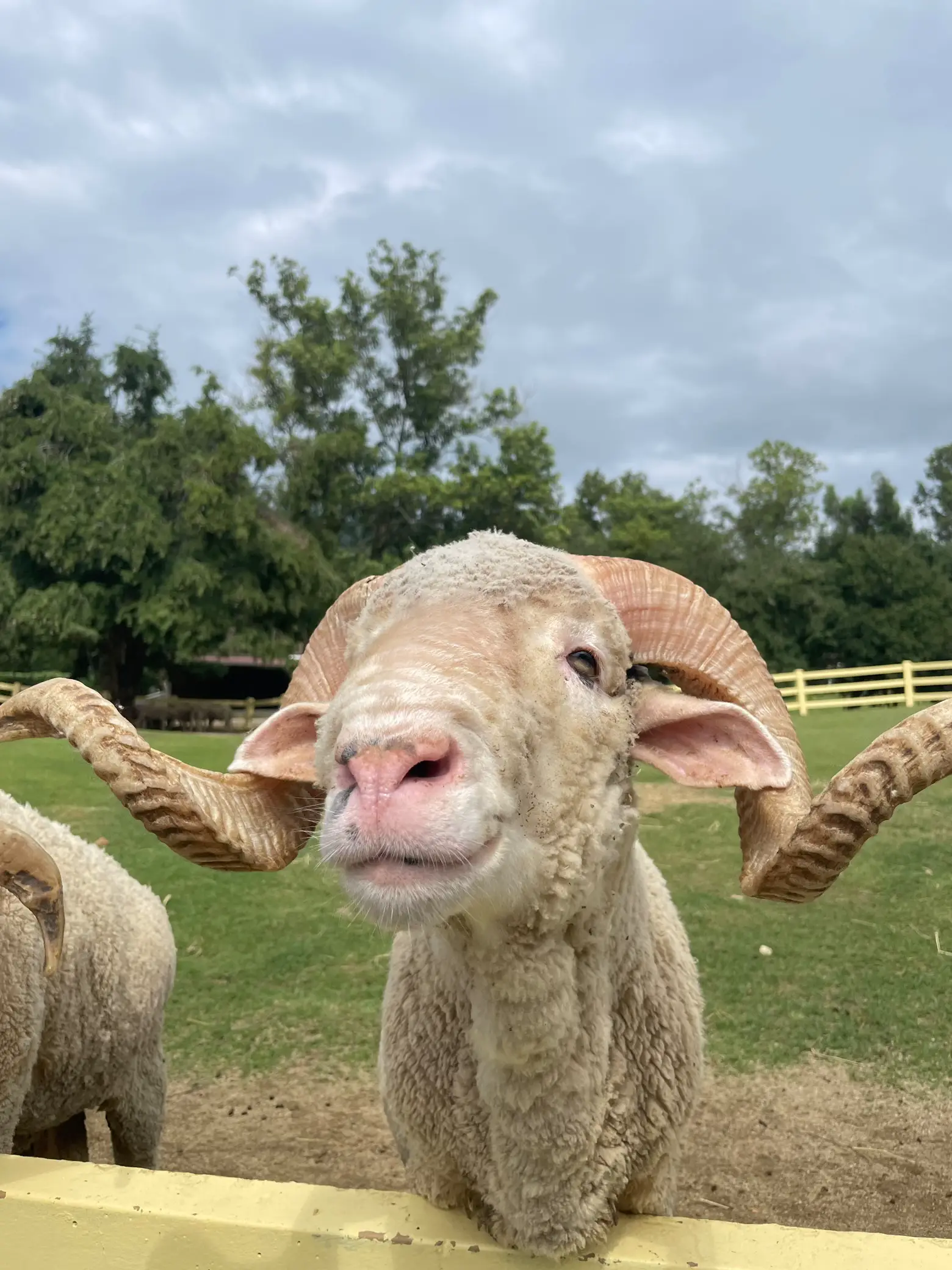 Primo Piazza | แกลเลอรีที่โพสต์โดย Lalida☁️ | Lemon8