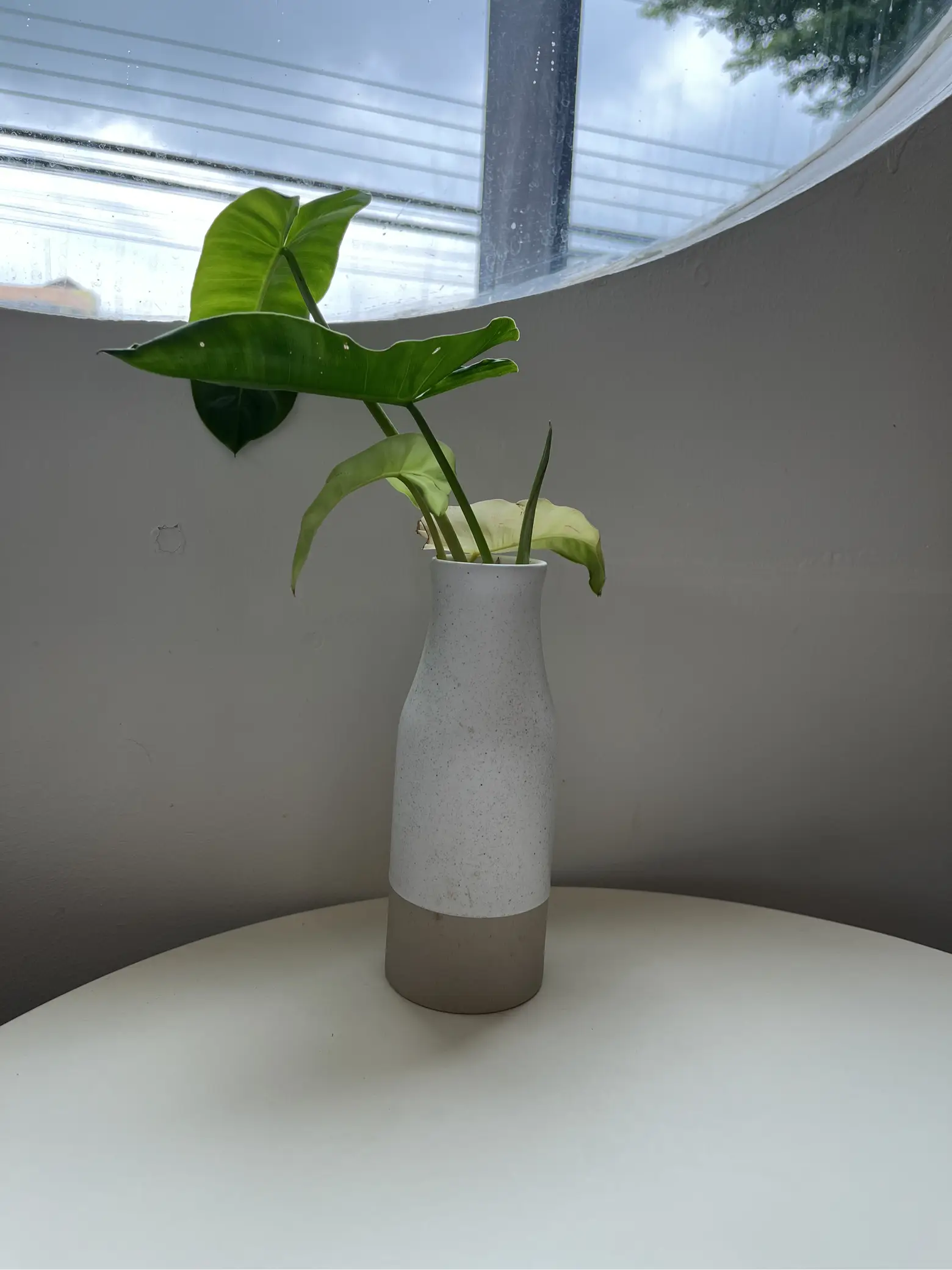 🍰☕️🪟 | แกลเลอรีที่โพสต์โดย Kaimook_p | Lemon8