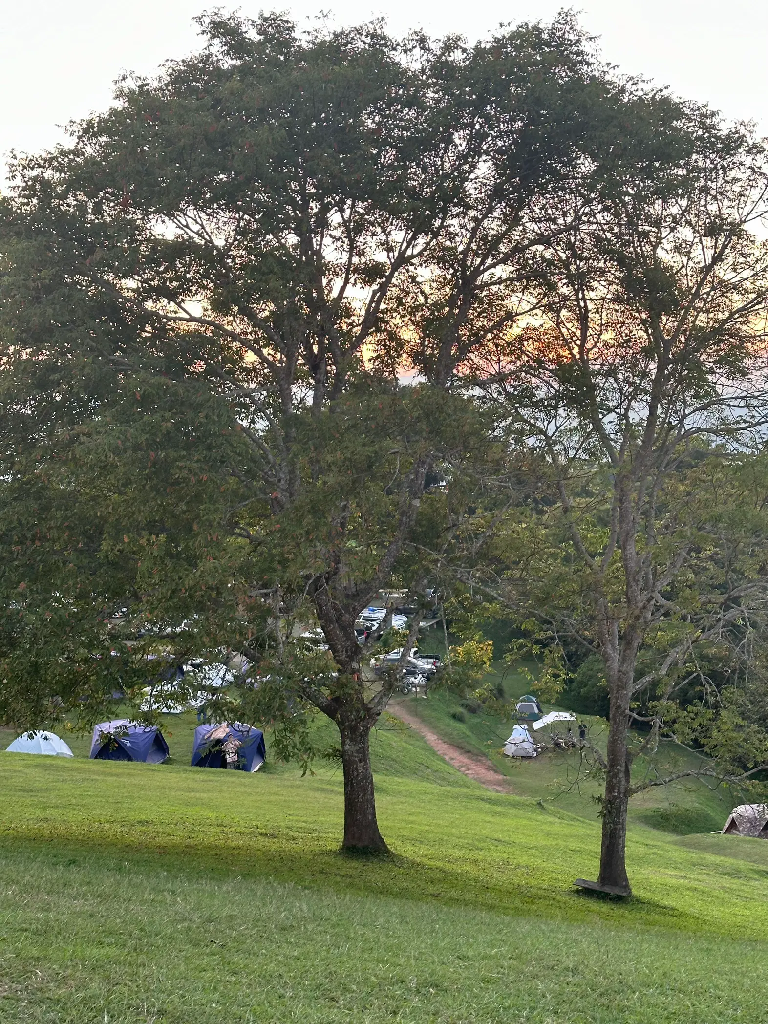 SOMEWHERE (ดอยเสมอดาว) | แกลเลอรีที่โพสต์โดย ACE | Lemon8