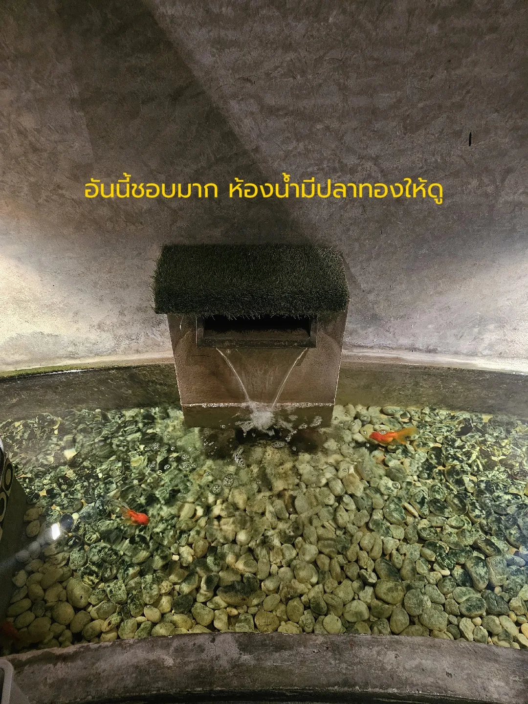 Bee Groove ร้านนั่งชิลย่านเมืองทอง (ประชาชื่น) | แกลเลอรีที่โพสต์โดย L!OinG | Lemon8