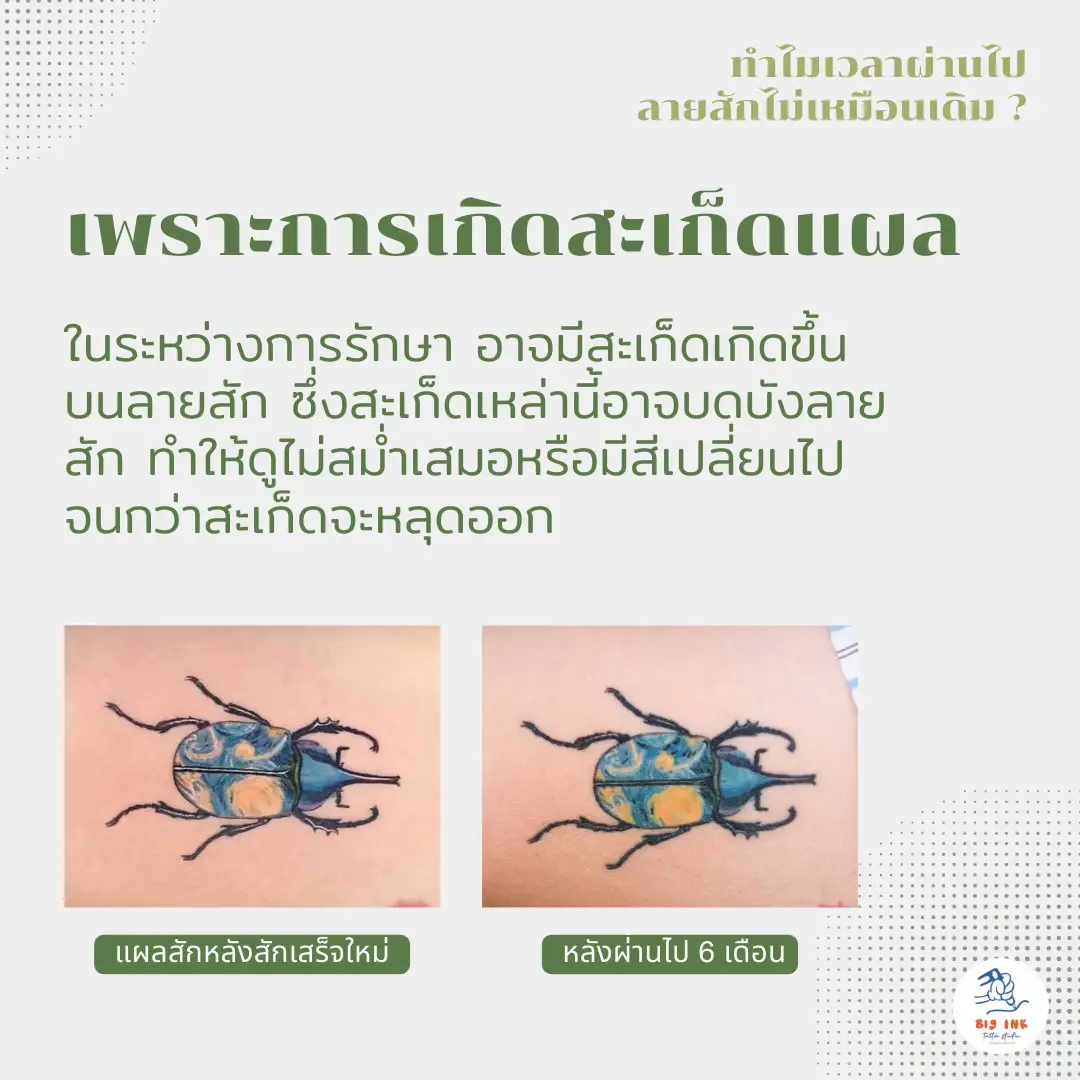 ลายสัก สักแล้วไม่เหมือนเดิม เพราะอะไรนะ ??! 💀🔥 | แกลเลอรีที่โพสต์โดย Big Ink | Lemon8