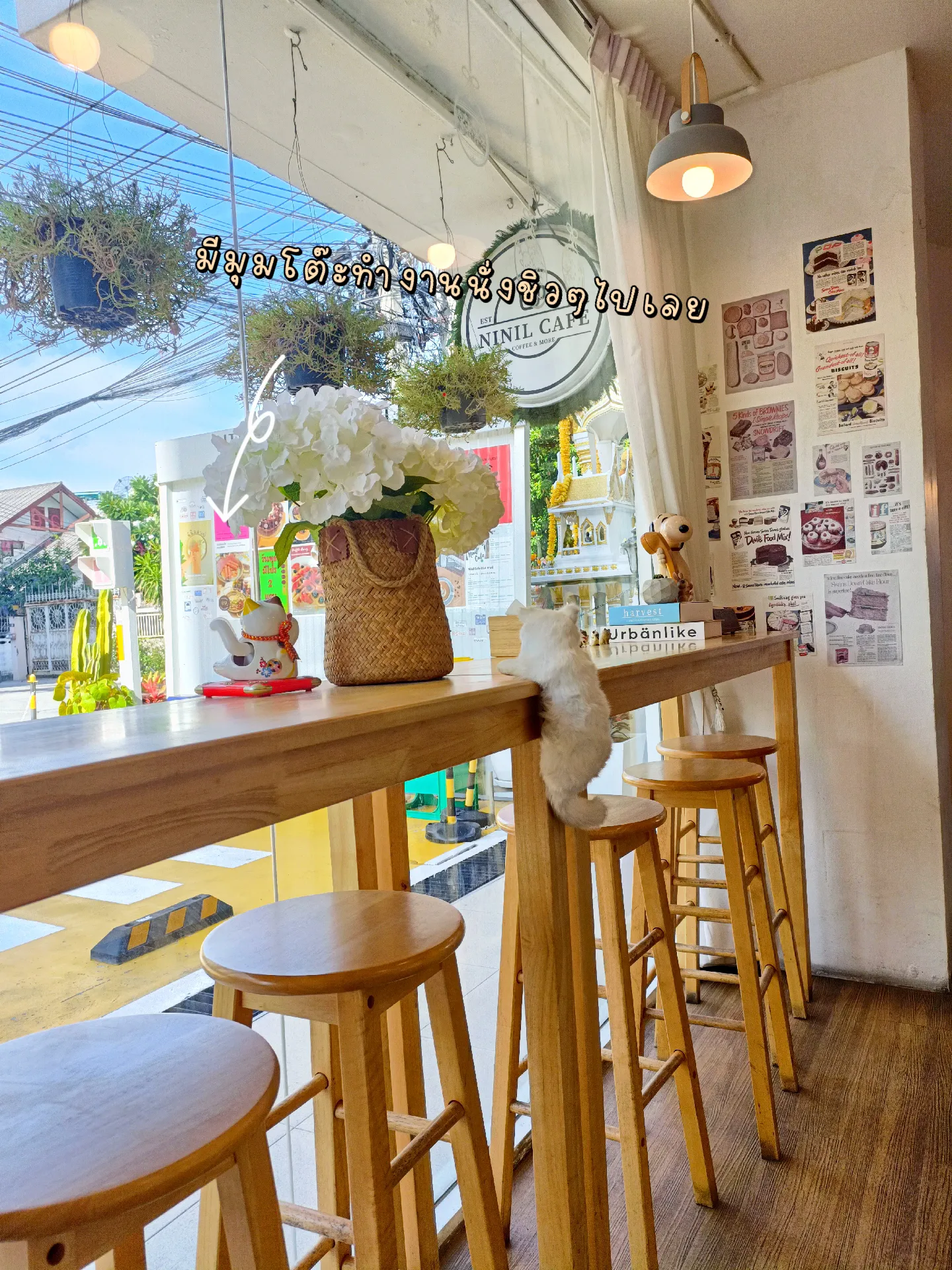 รีวิว คาเฟ่ลับๆ | แกลเลอรีที่โพสต์โดย Grape blue | Lemon8