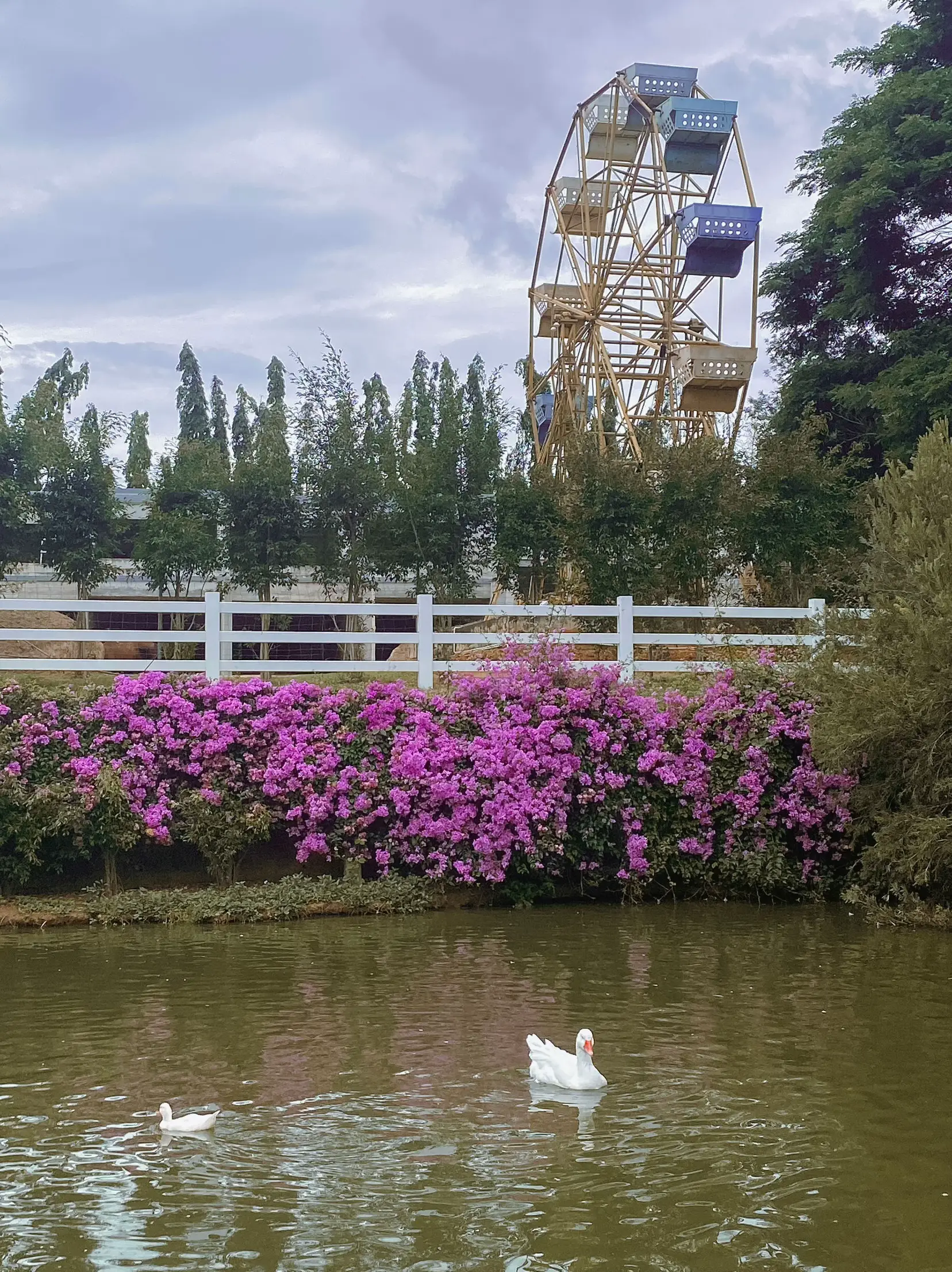 The scenery vintage farm 🐑🌸💖 | แกลเลอรีที่โพสต์โดย Jammie Wipada | Lemon8