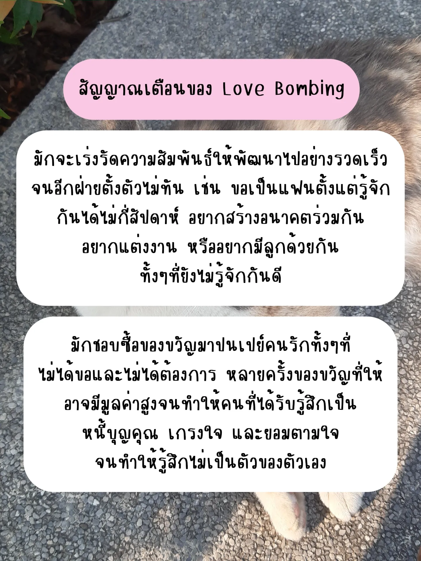 คสพ.นี้ กำลังโดน Love bombing บงการอยู่รึเปล่า? | แกลเลอรีที่โพสต์โดย ...