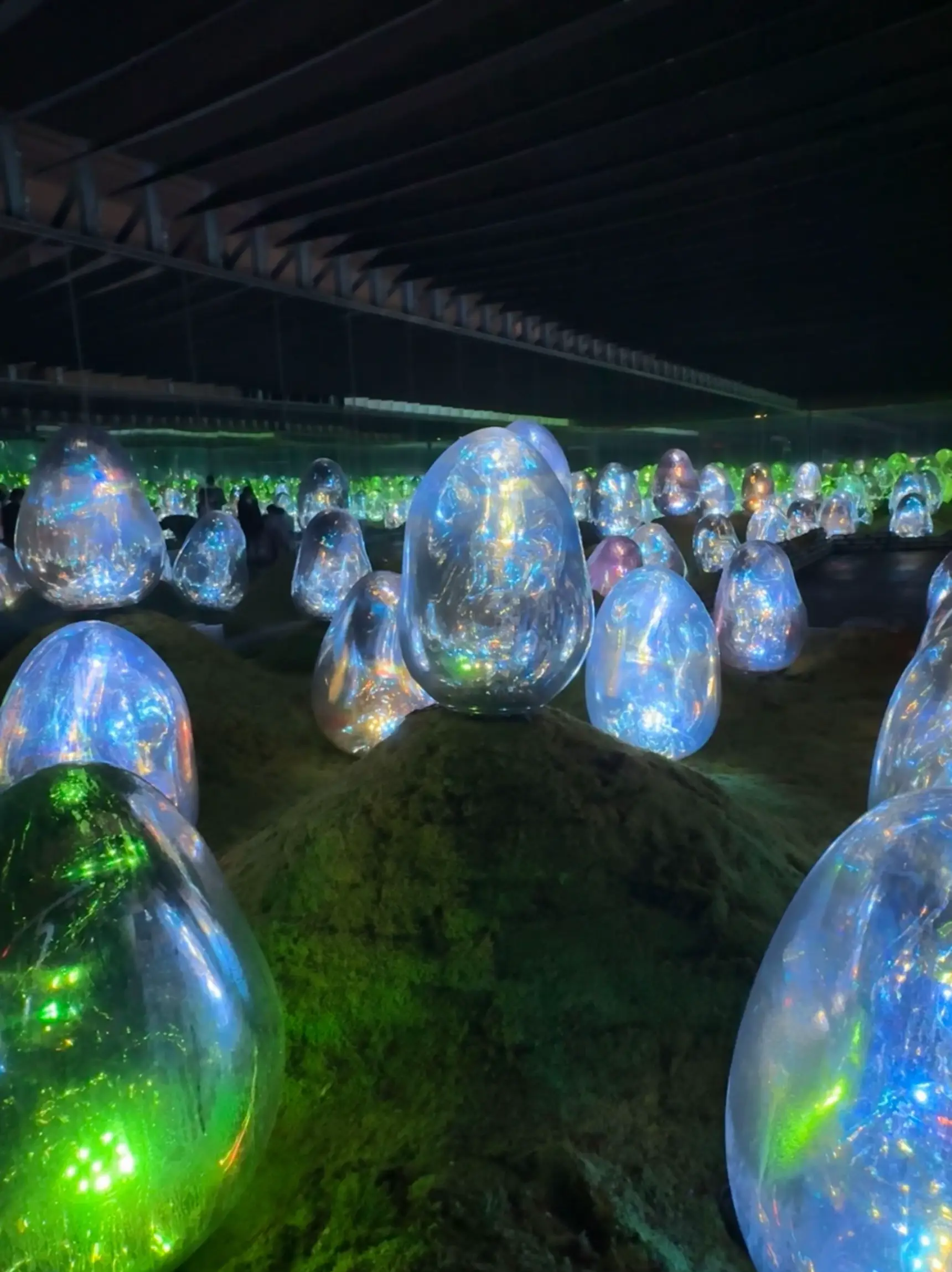 teamLab Planets Tokyo | แกลเลอรีที่โพสต์โดย With.phichit | Lemon8