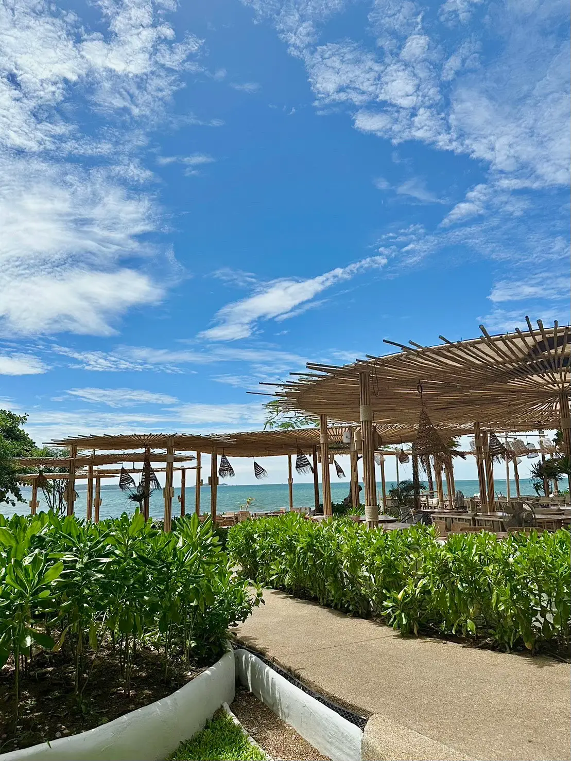 The oxygen pattaya | แกลเลอรีที่โพสต์โดย Pinto__ | Lemon8