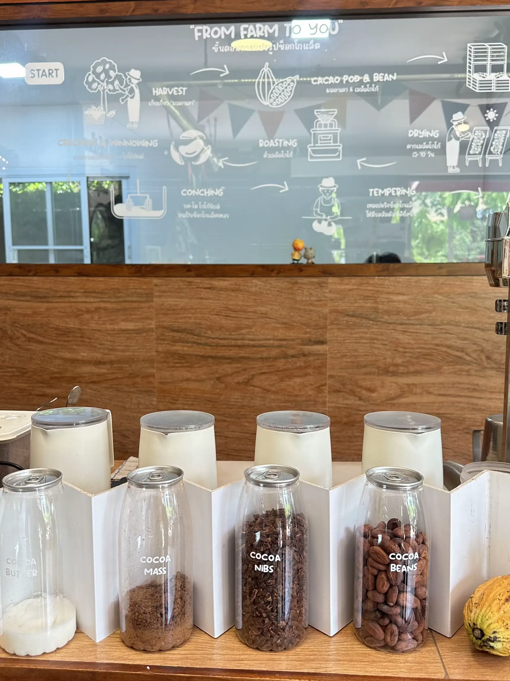 โกโก้ไทย ที่ได้รางวัลระดับโลก 📍Charlee Choco&Cocoa 🍫🥤 | แกลเลอรีที่ ...