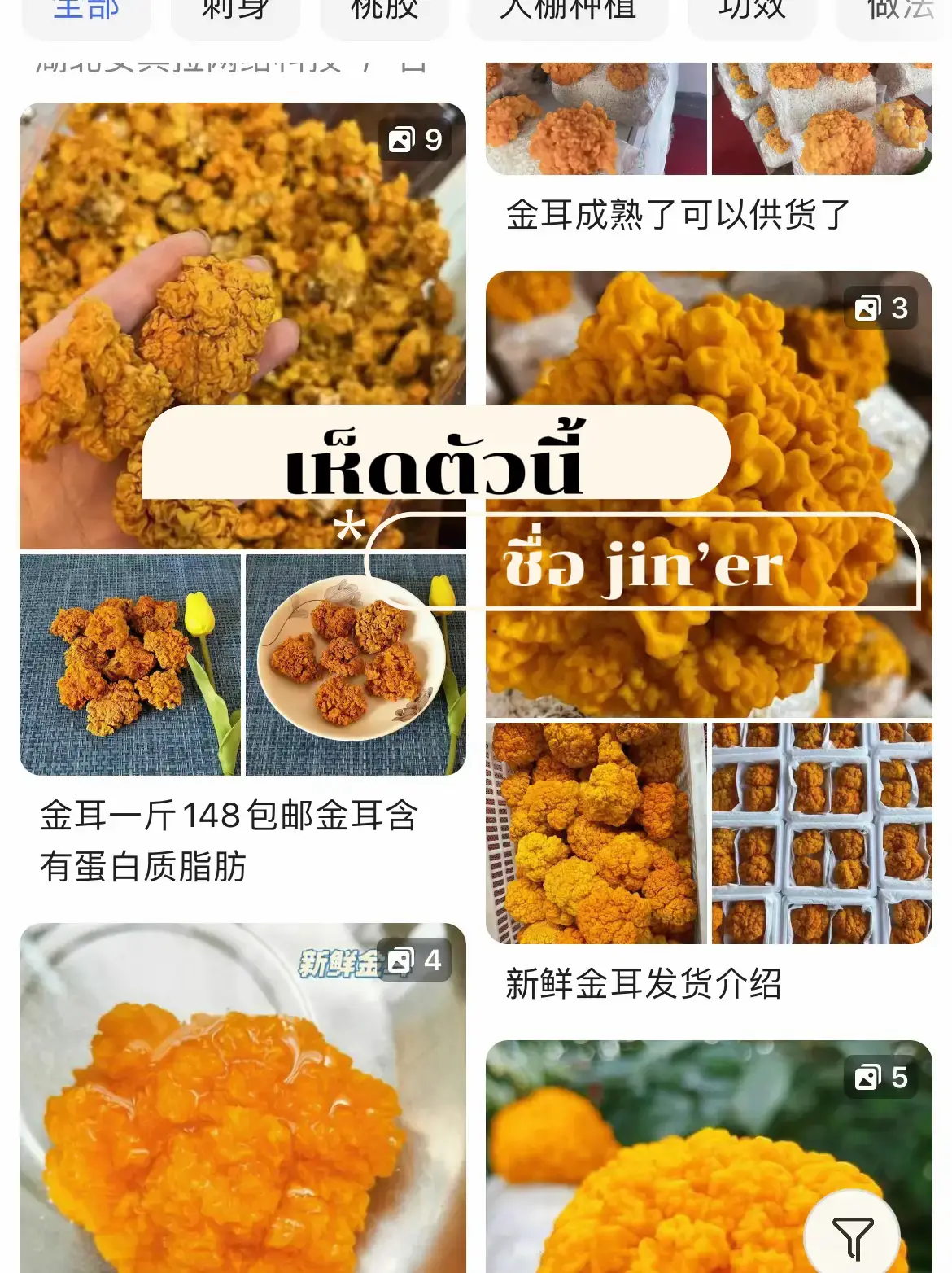 อาหารแปลกโคตร sashimiน้องเห็ด🍄 จิ้ม wasabi & shoyu ด้วย | แกลเลอรีที่โพสต์โดย phployy | Lemon8