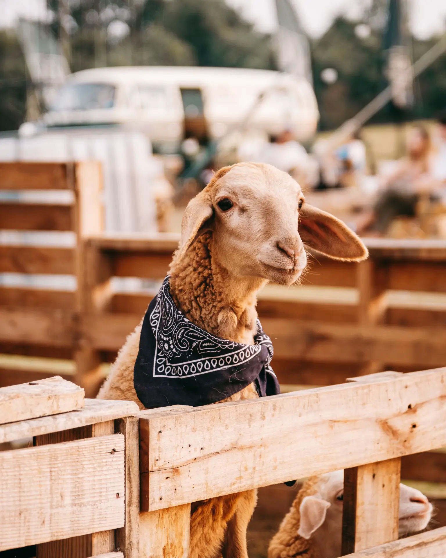 After You Farm House 🌽🐏 Pop-up Store ใน Midwinter | แกลเลอรีที่โพสต์โดย ...