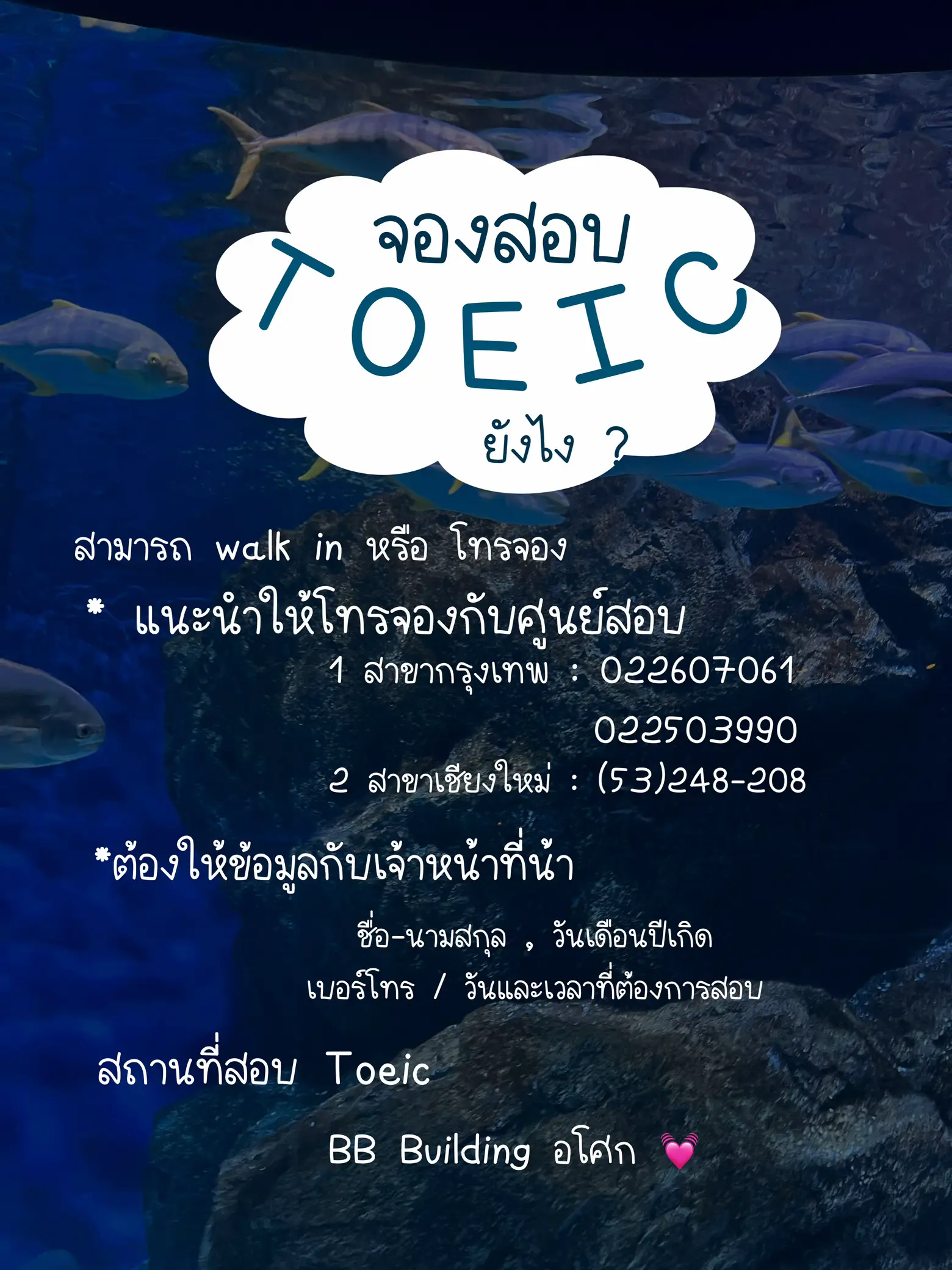 แชร์ทริค สอบ Toeic ครั้งแรกได้ 700 ! Ver.คนเลิกงานมืด | แกลเลอรีที่ ...