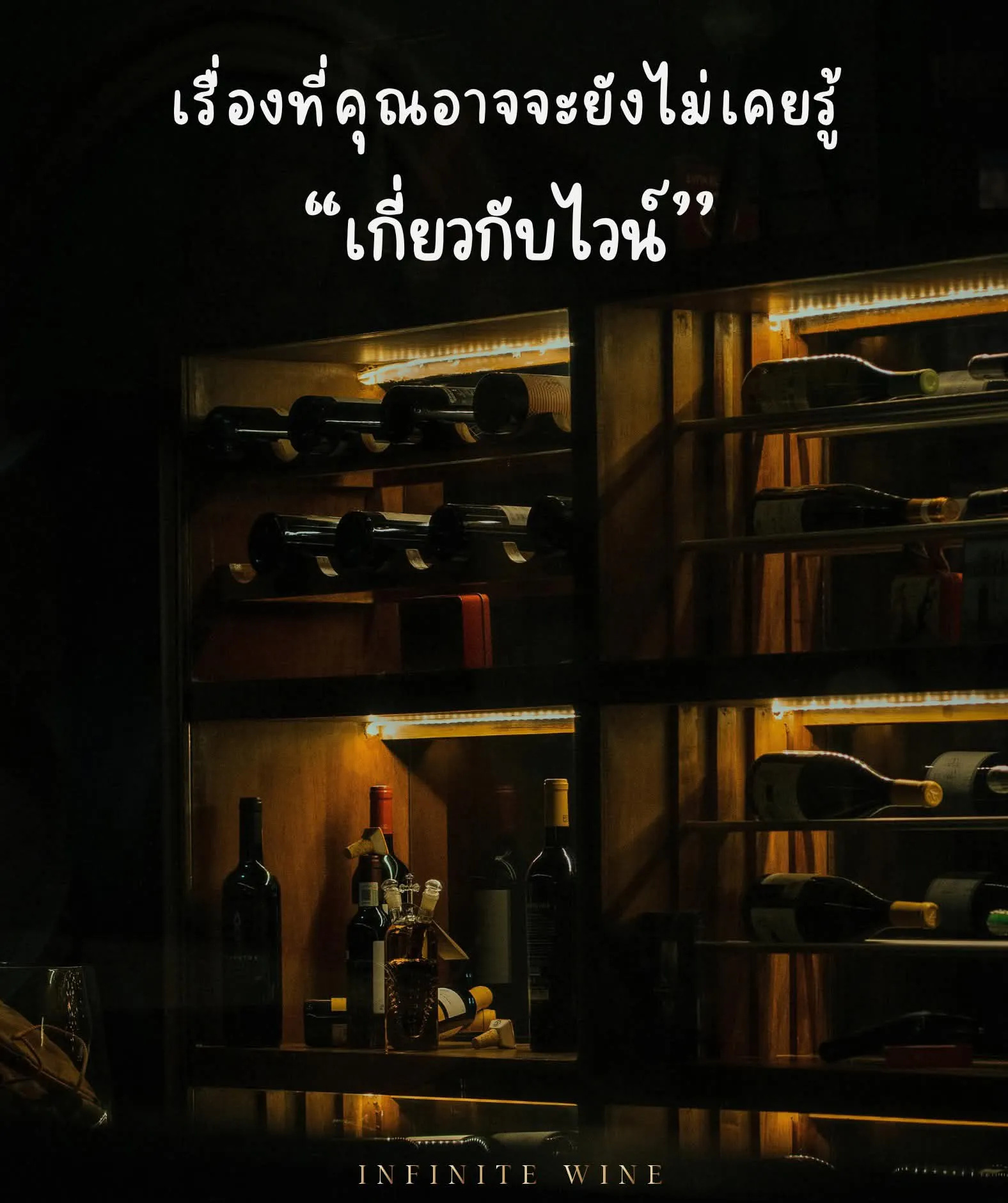 เรื่องที่คุณอาจจะยังไม่เคยรู้เกี่ยวกับไวน์ 🍷 | แกลเลอรีที่โพสต์โดย Infinite Wine | Lemon8