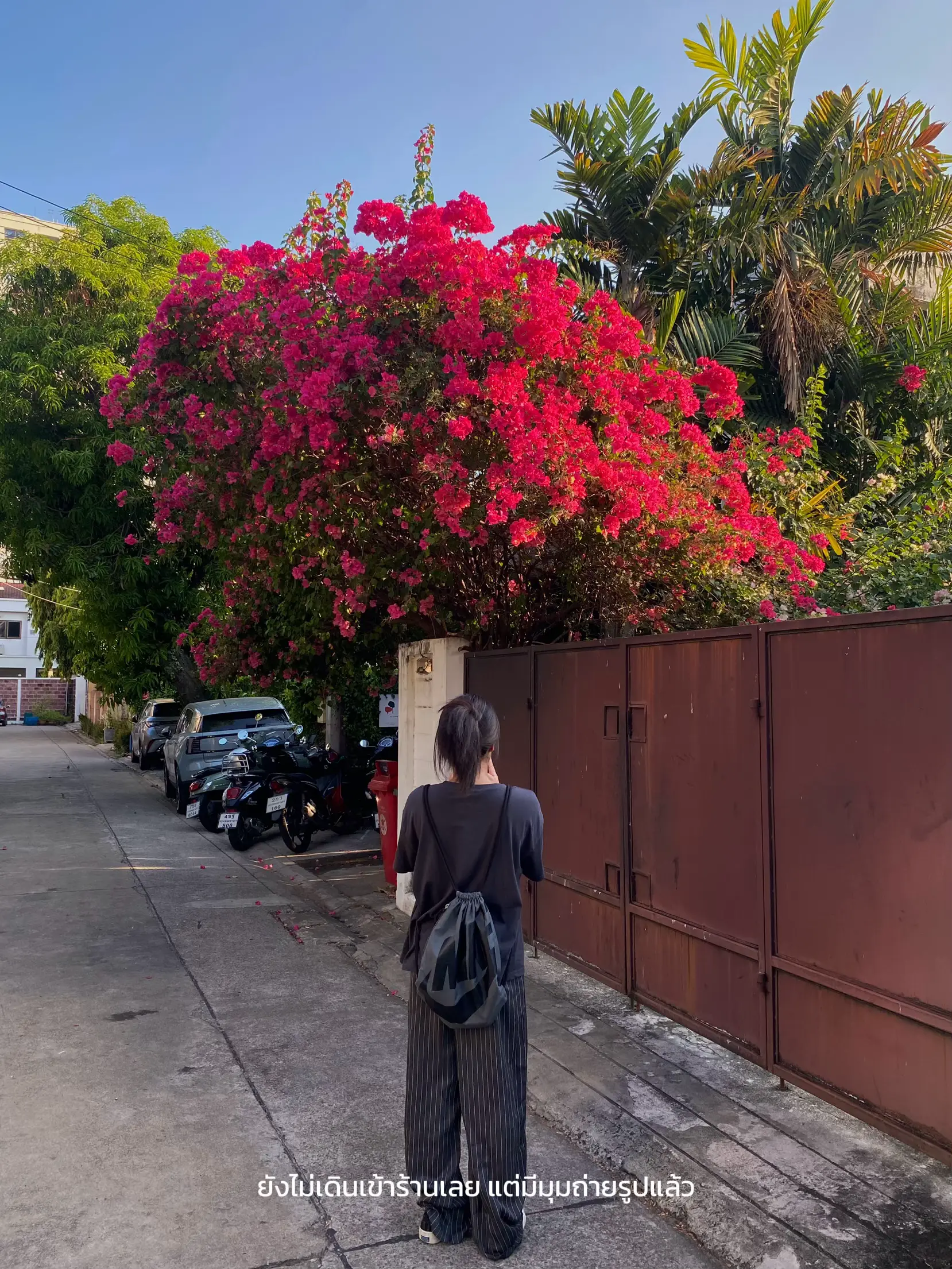 To chare คาเฟ่ที่เหมือนอยู่บ้านเพื่อน 🏠🌳 | แกลเลอรีที่โพสต์โดย 2kging ...