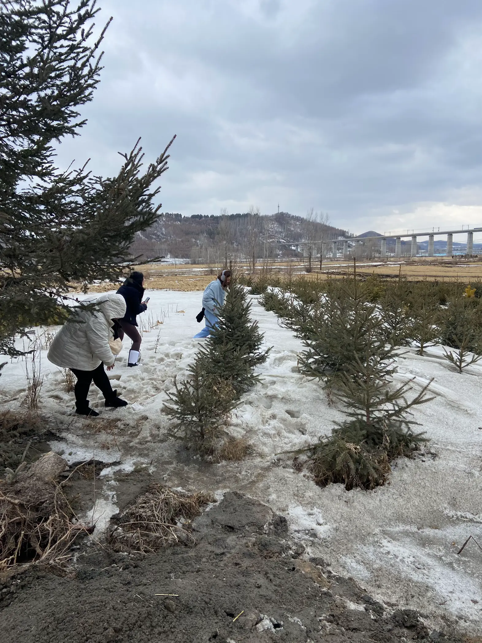 Hunting for snow on the day the snow melts (Yabuli, Harbin) | Gallery ...