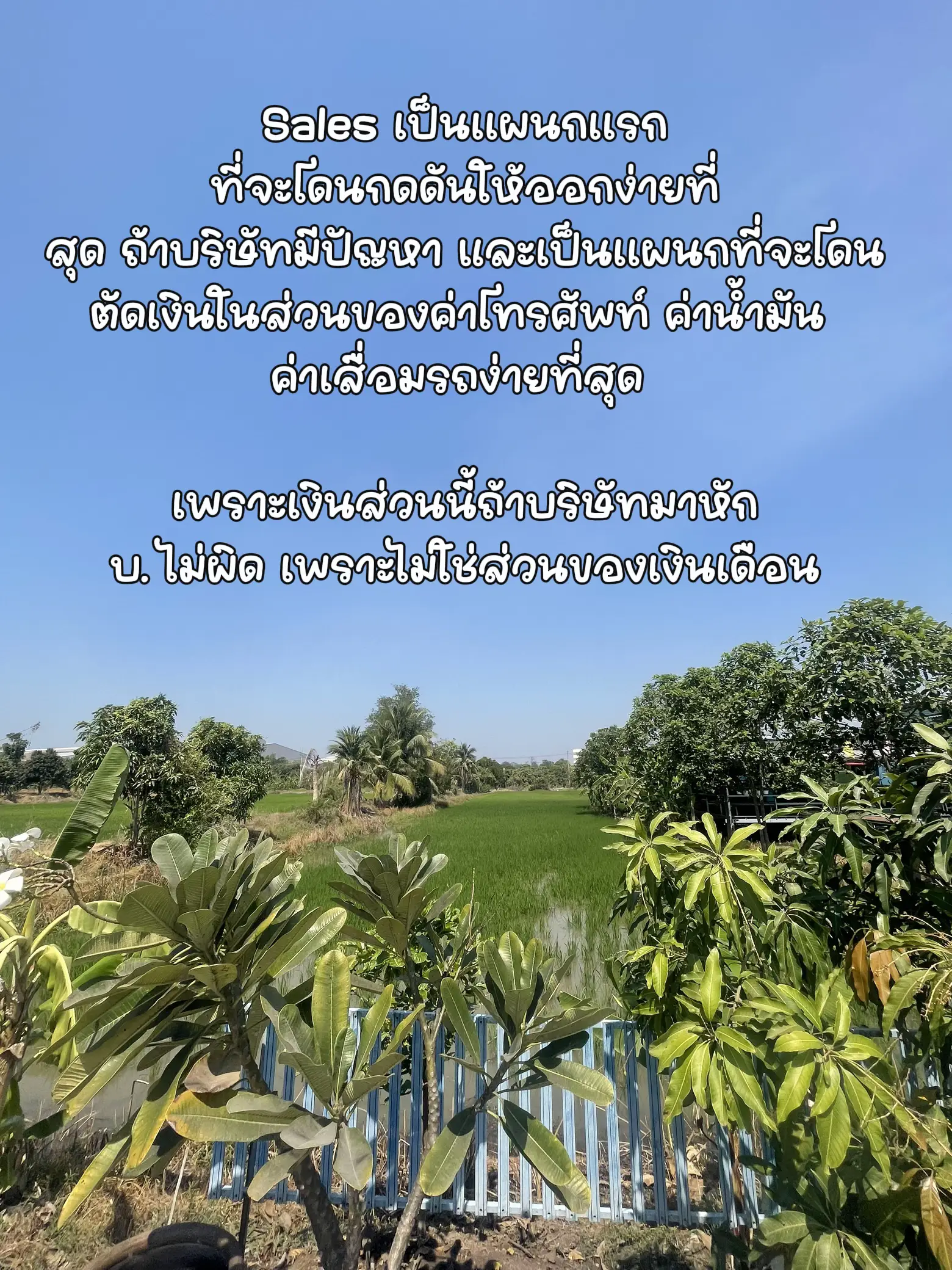 อย่าพึ่งมาเป็น Sales ถ้ายังไม่รู้สิ่งนี้ Ep.2 | แกลเลอรีที่โพสต์โดย 🍦Kero(コッブ) 94⛵️ | Lemon8