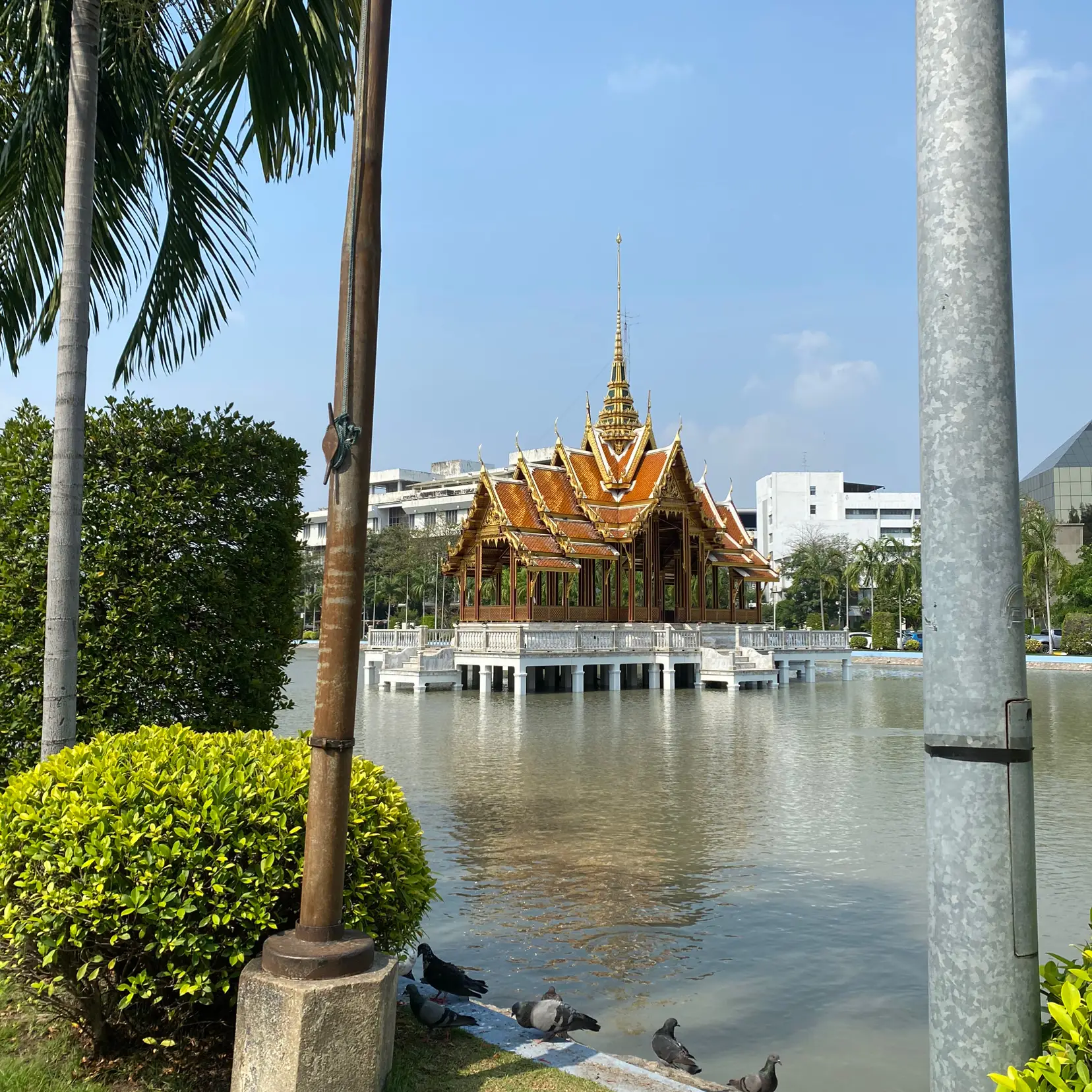 Pre degree เรียนราม จบยากจริงมั๊ย?! | แกลเลอรีที่โพสต์โดย piploy🐰🧁 | Lemon8