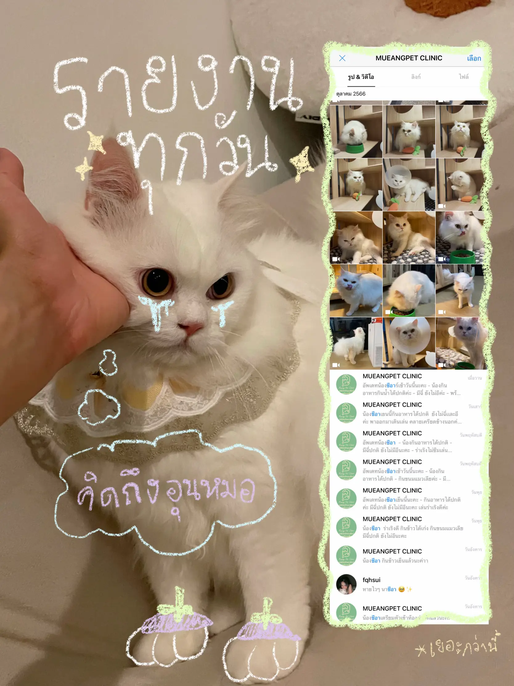 Share the experience. Take the cat for the first vasectomy. 🙀 (male cat ...