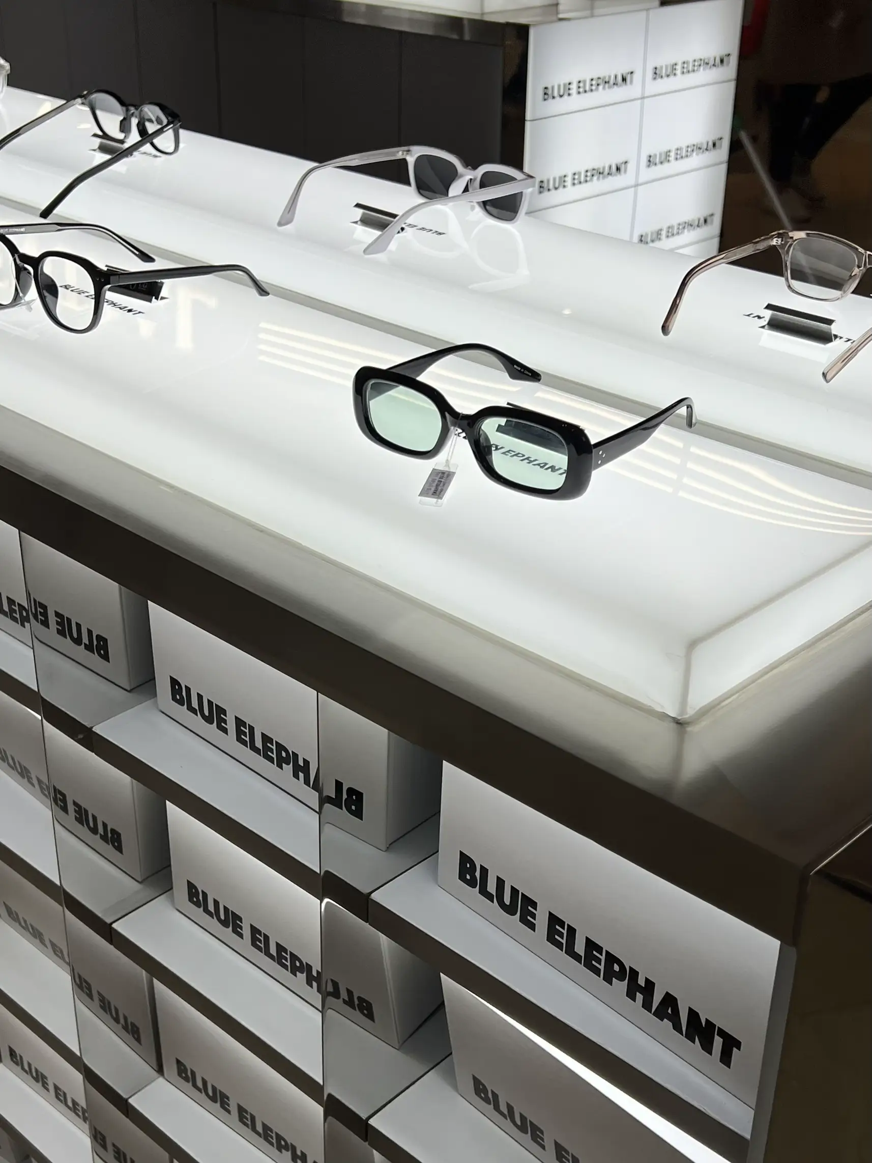blue elephant 👓🗯️ แบรนด์แว่นแฮชานเข้าไทยแล้ว! | แกลเลอรีที่โพสต์โดย ...