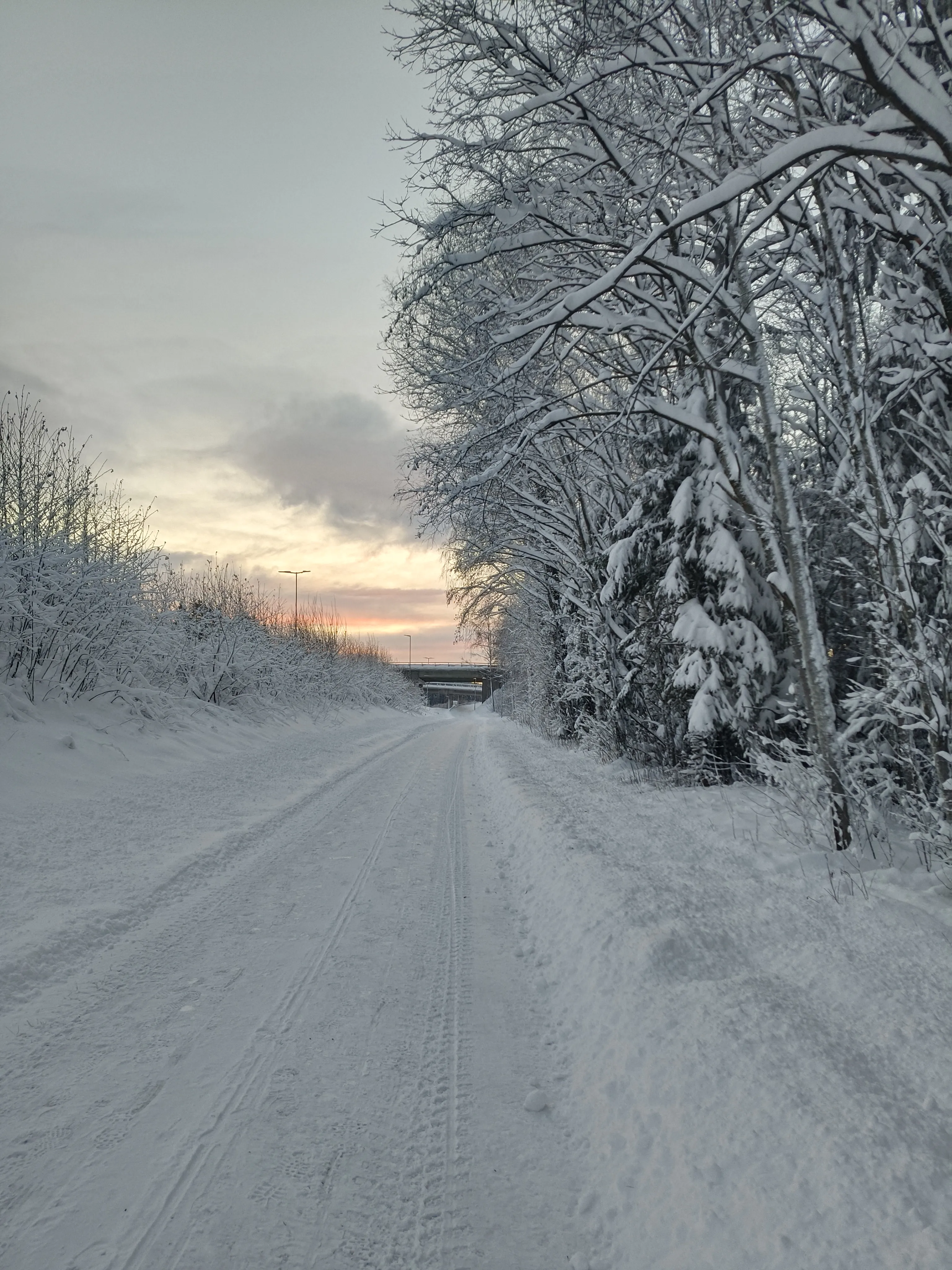 เดินเหงาๆในนอร์เวย์ สวยจริงอะไรจริงค่ะ | แกลเลอรีที่โพสต์โดย riya | Lemon8