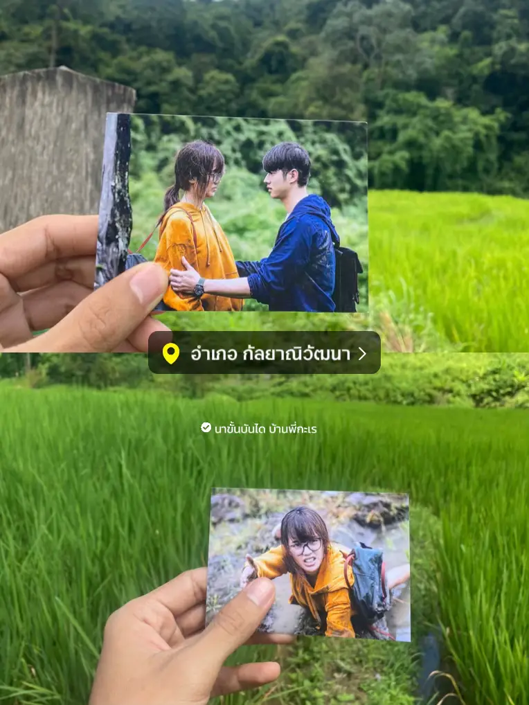 ไปตามรอยหนัง”สุขสันต์วันโสดด้วยกันมั้ย 🏡📽️💚 | แกลเลอรีที่โพสต์โดย ewery.pump | Lemon8