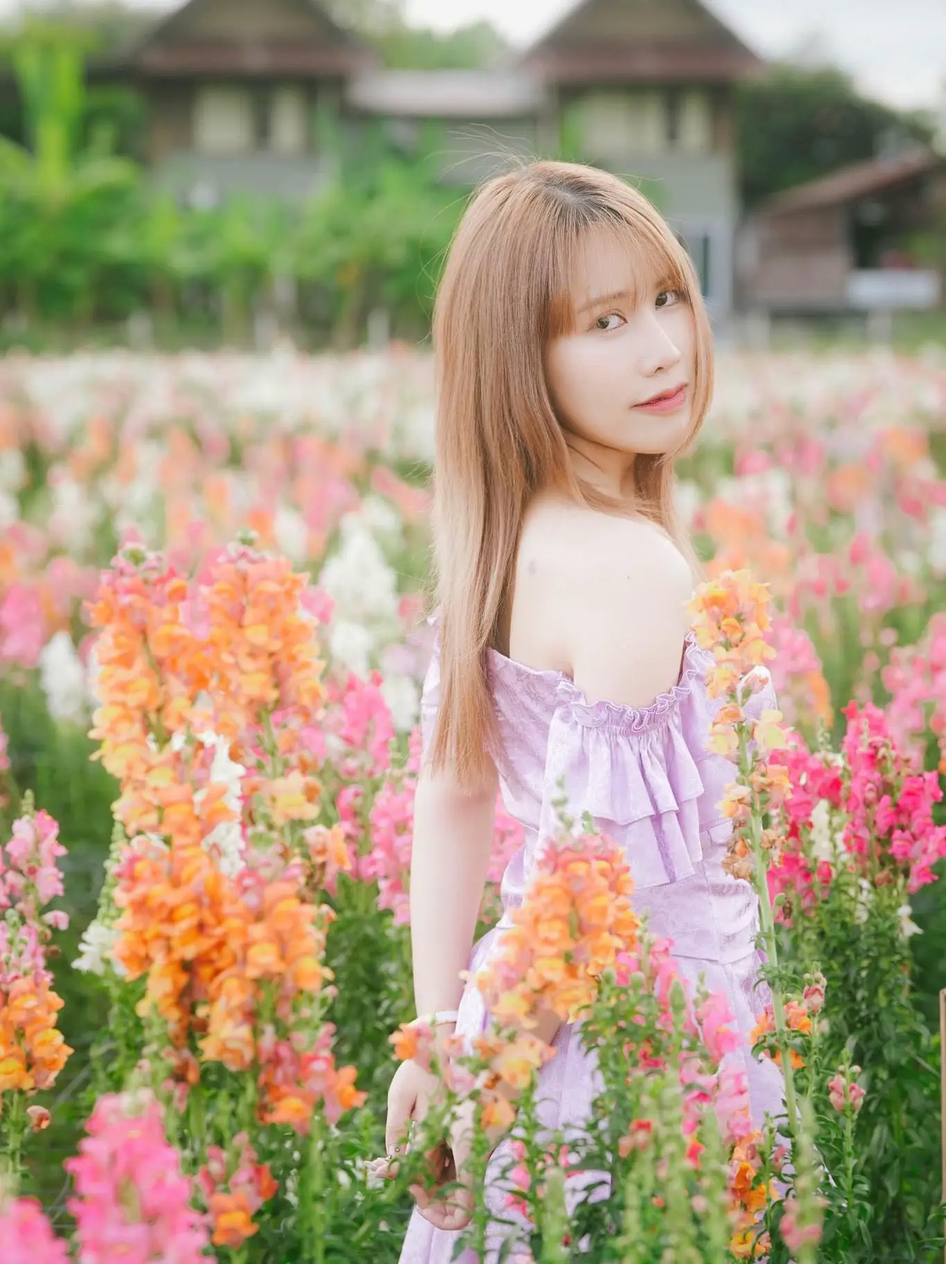 พิกัดถ่ายรูปทุ่งดอกไม้ 📍Chiang Mai 🪻🌷 โพสต์ท่าถ่ายรูป | แกลเลอรีที่ ...