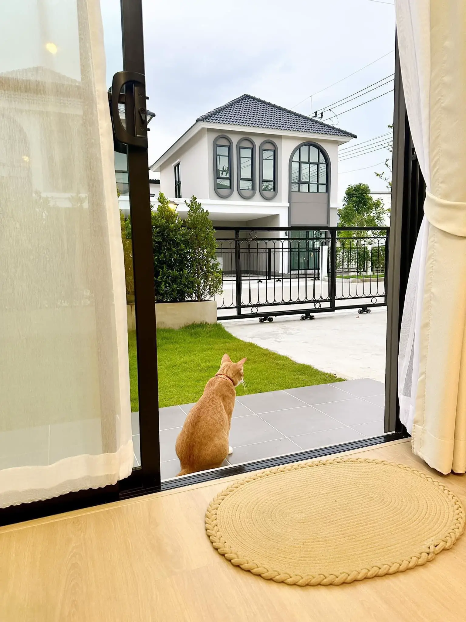 Whole Minimalist Home 🏡 Review | Kitchen designed by CT | Gallery posted by Kitchen Design | Lemon8