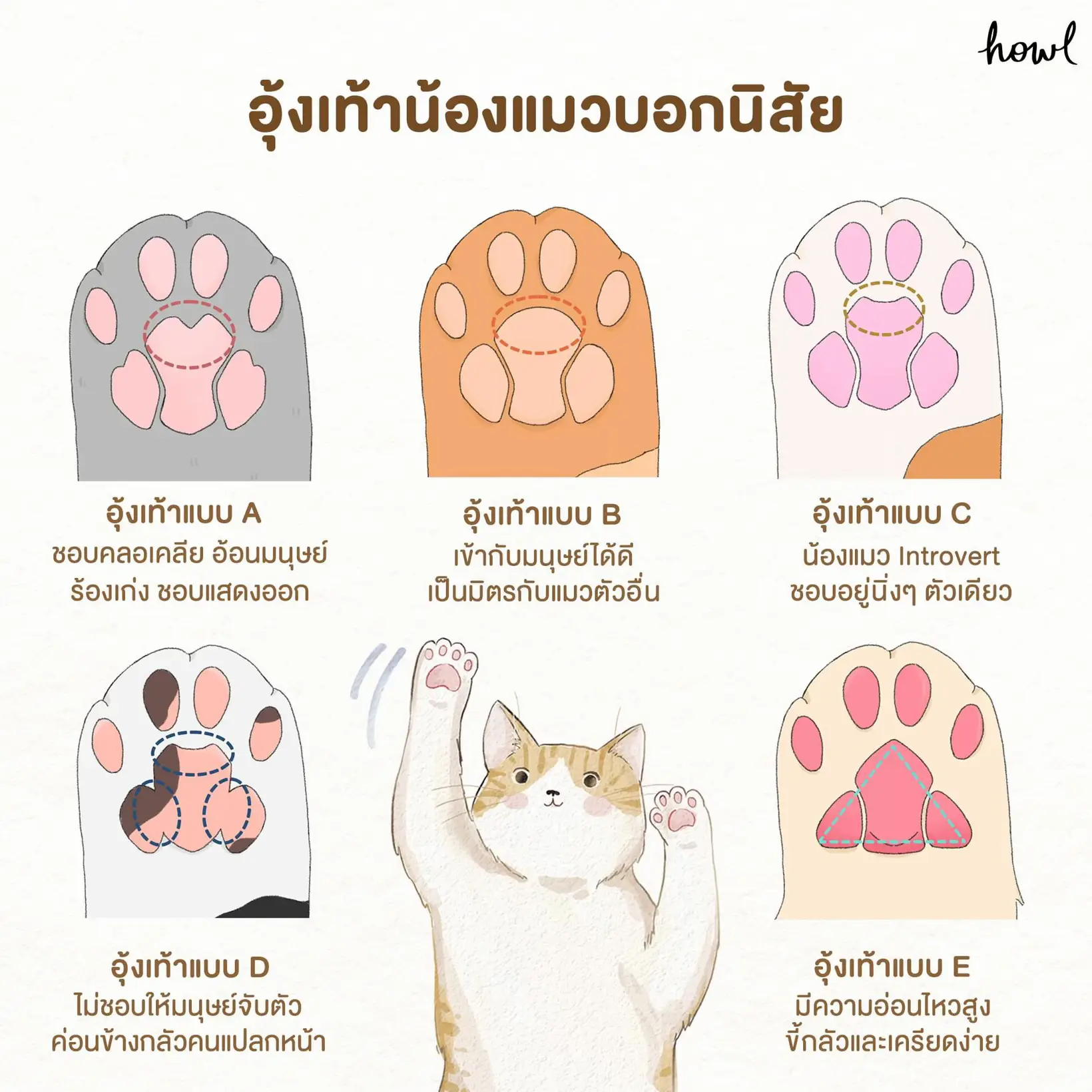 มาทายนิสัยแมวจากอุ้งเท้ากัน 🐾🐾 | แกลเลอรีที่โพสต์โดย bebow🎈42♾ | Lemon8