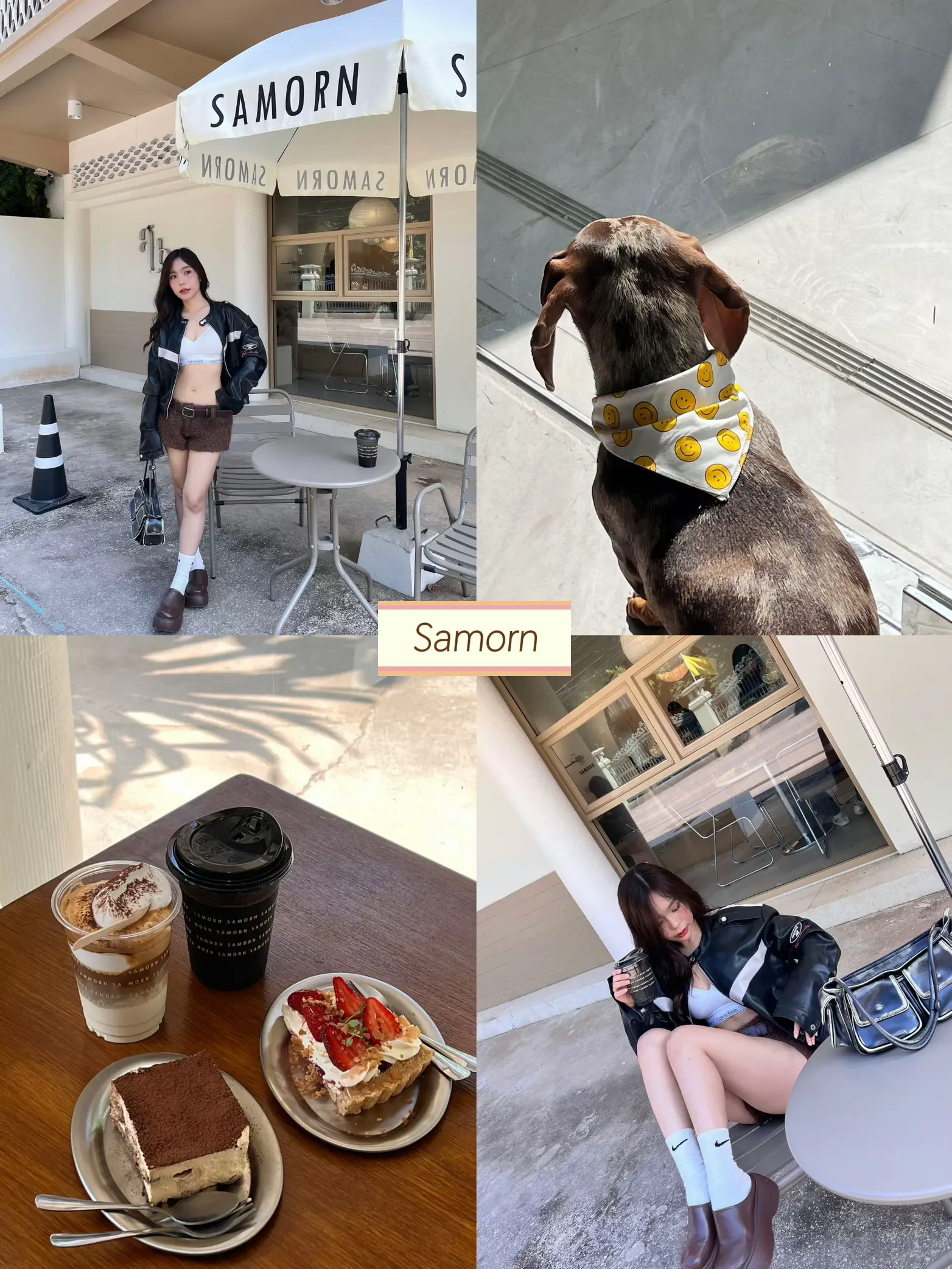 อัพเดท 10 คาเฟ่เชียงใหม่☕️🍹🍰🌸 | แกลเลอรีที่โพสต์โดย แต้วรีวิว | Lemon8
