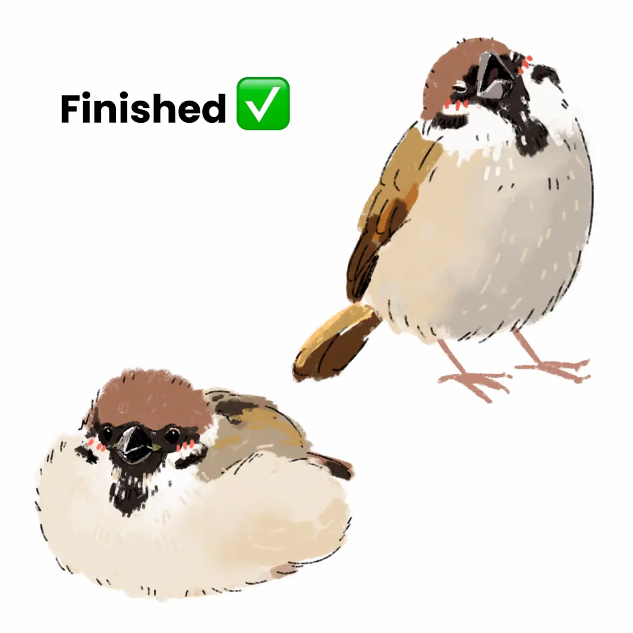 How to draw a cute sparrow 👀 🫶🏼 | แกลเลอรีที่โพสต์โดย Labroche🌷 | Lemon8