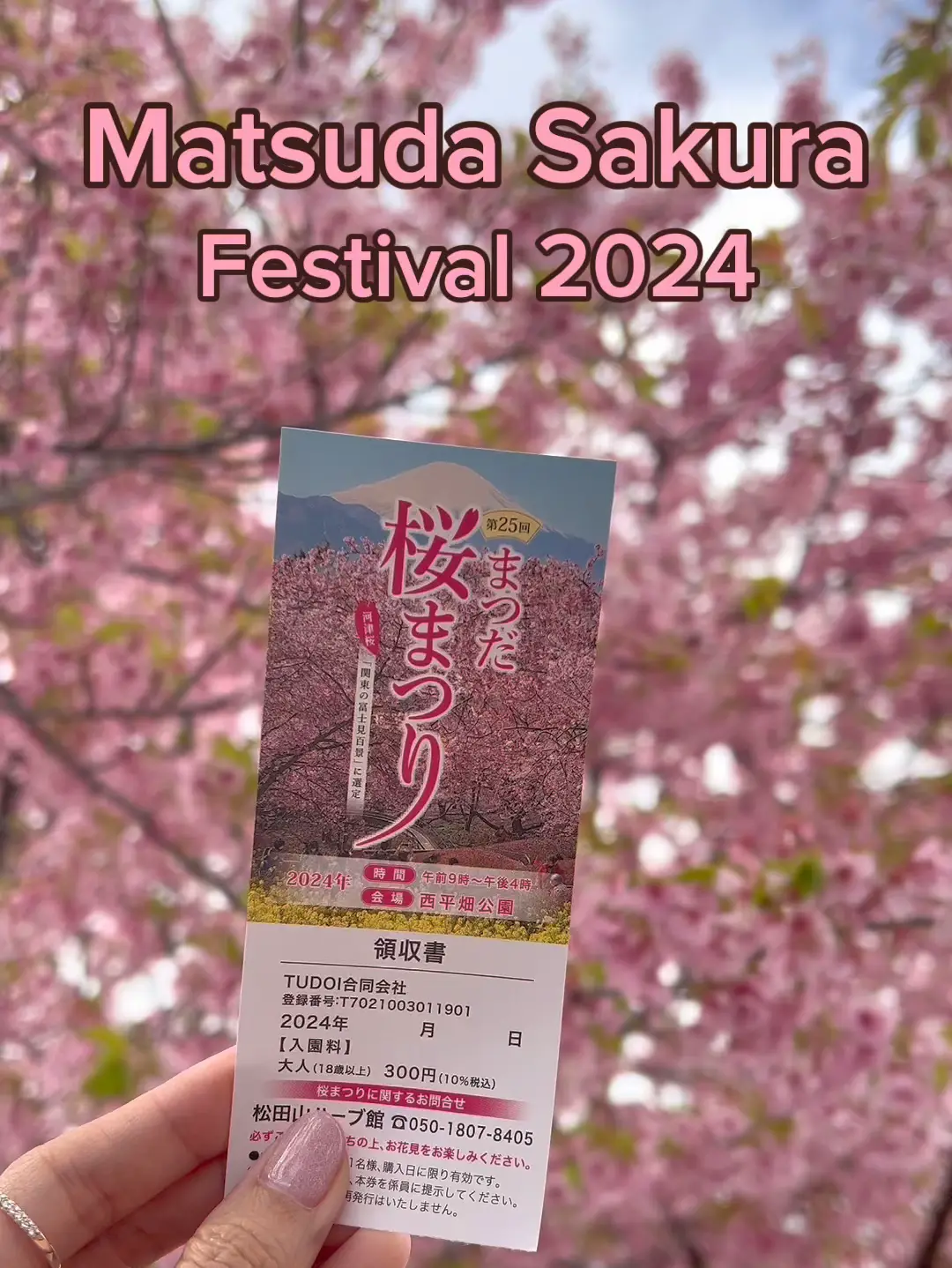 🌸 Matsuda Sakura Festival 2024🌸 ชมซากุระใกล้โตเกียว | วิดีโอที่เผยแพร่ ...