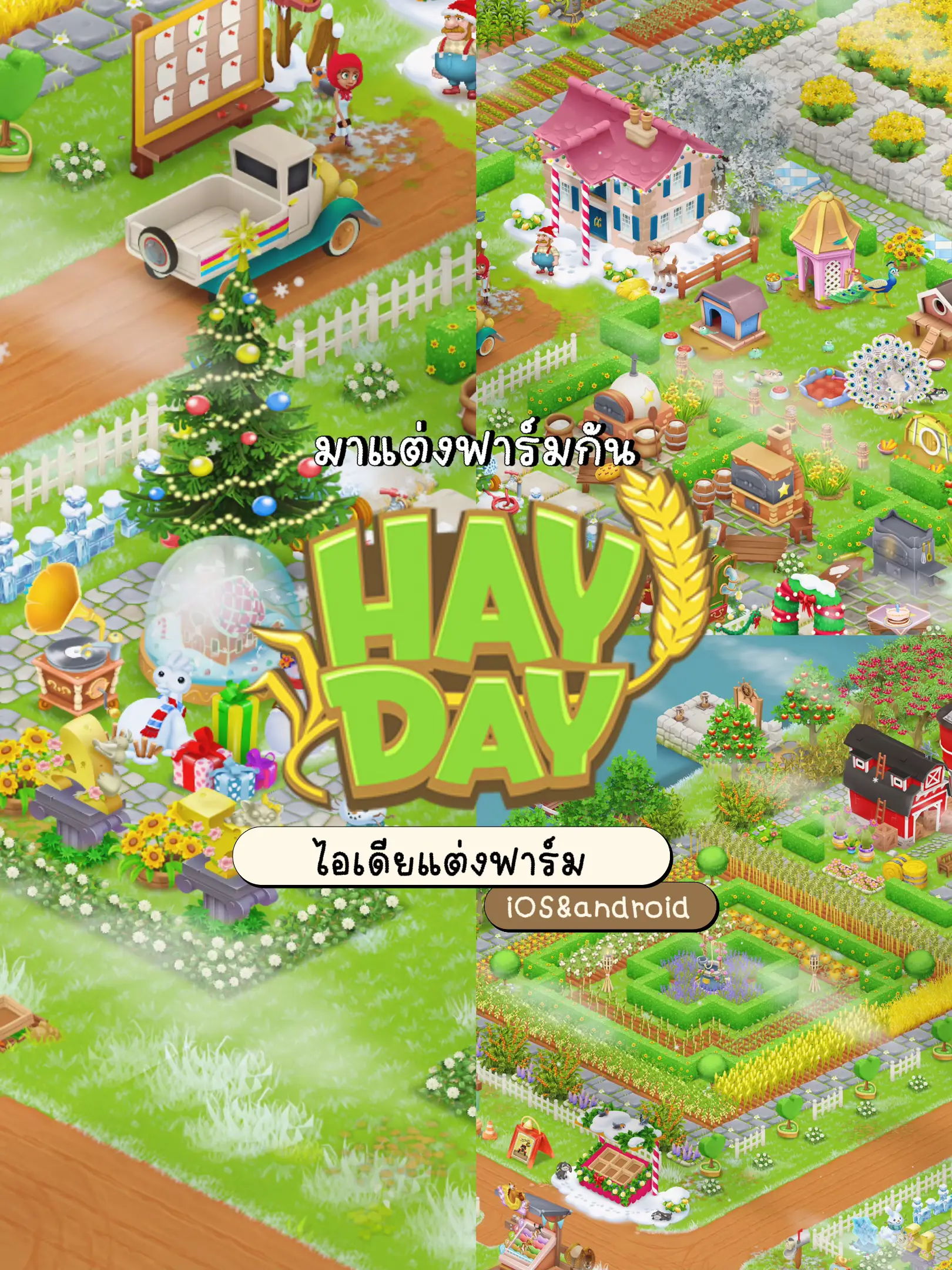 ไอเดียแต่งฟาร์ม Hay day | แกลเลอรีที่โพสต์โดย memeuw | Lemon8