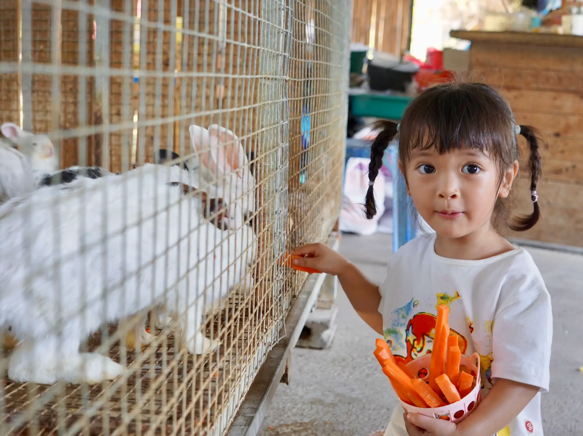 มาลัย ฟาร์ม ณ ชะอำ | แกลเลอรีที่โพสต์โดย KK MOMMY | Lemon8