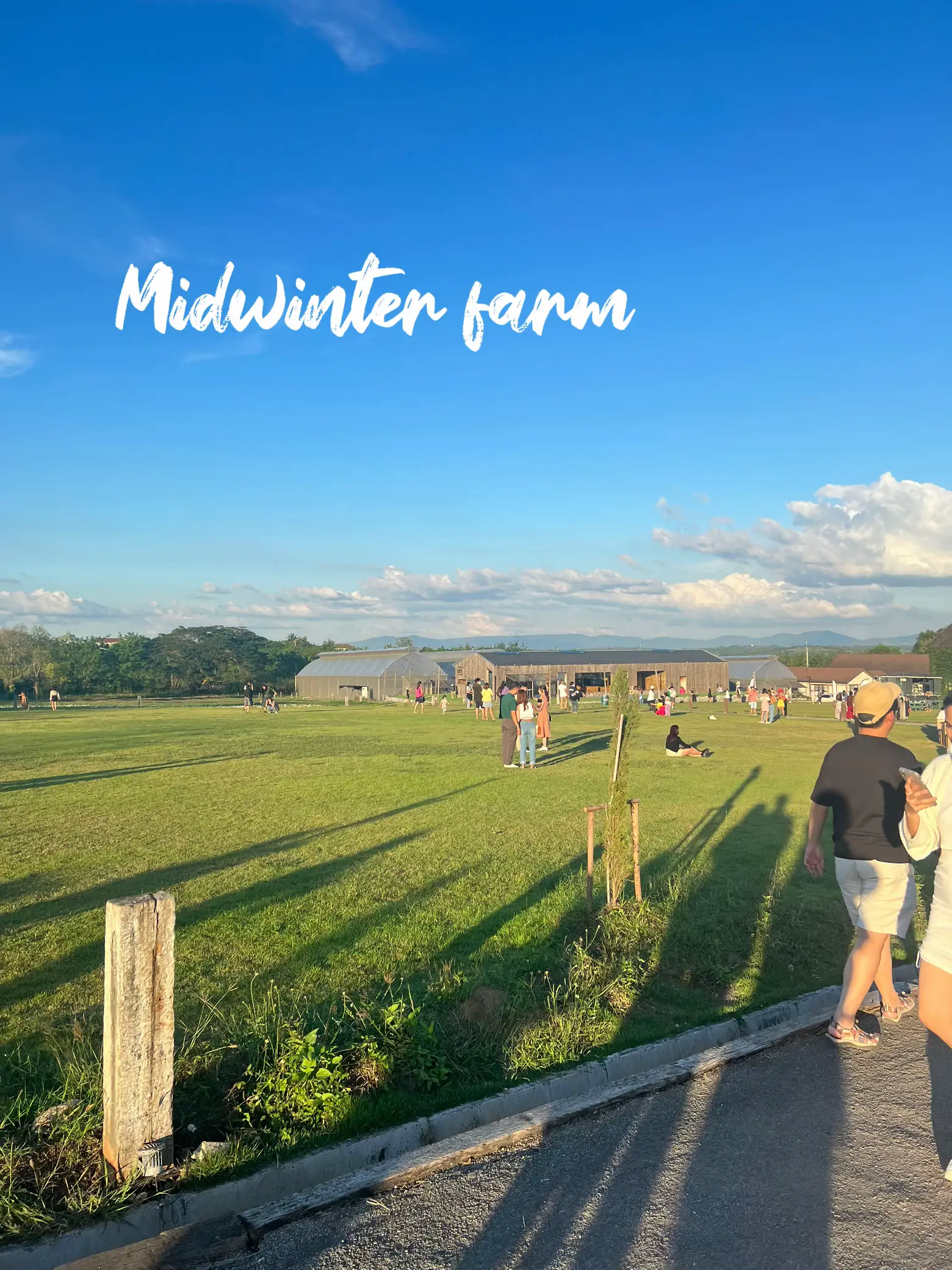 Khaoyai ไปแล้วไปอีก 🫶🏻 | แกลเลอรีที่โพสต์โดย 💘 JANECHN | Lemon8