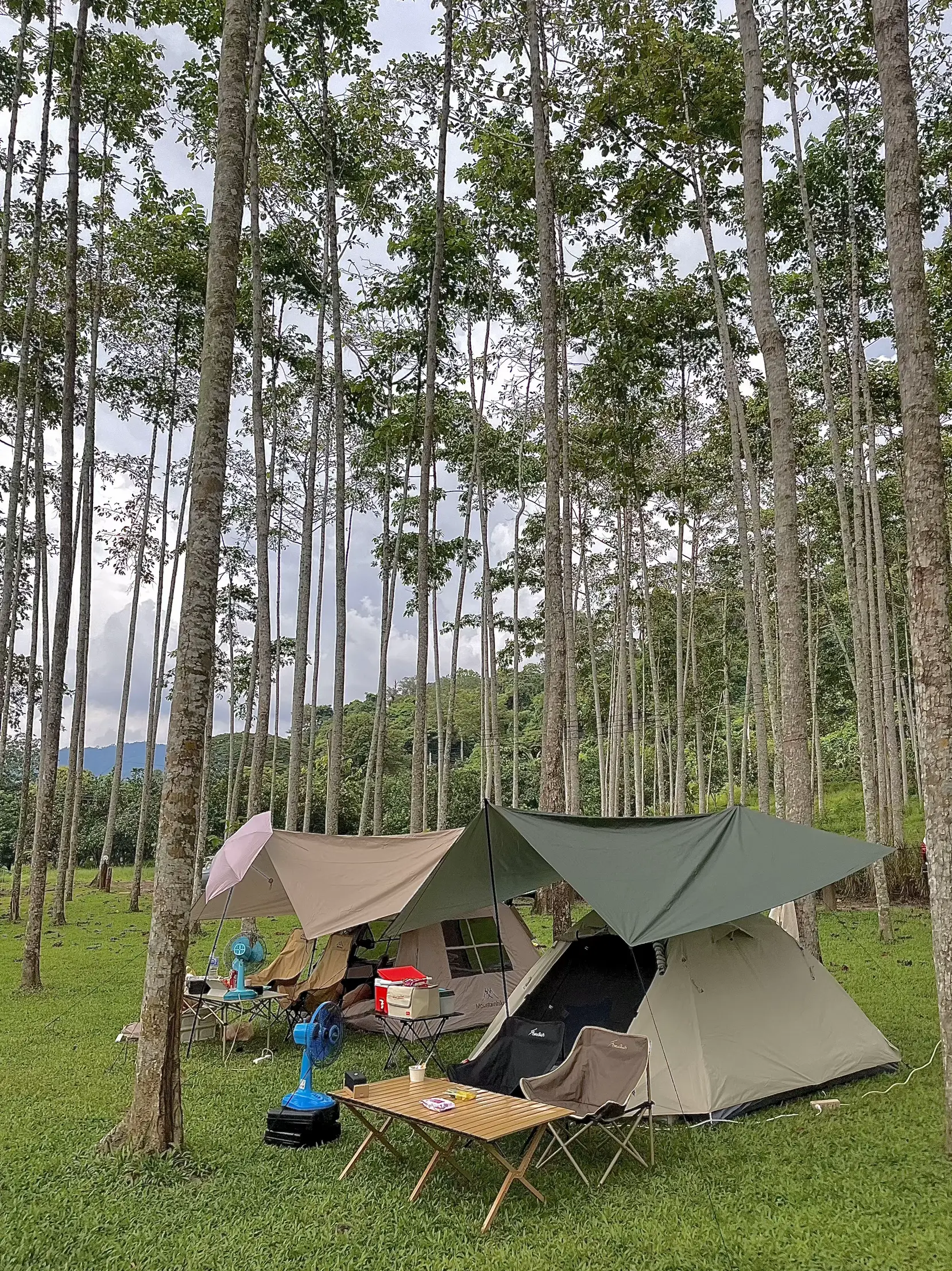 ณ วนา Na-Wana Camping Ground | มือใหม่หัดแคมป์ปิ้ง | แกลเลอรีที่โพสต์โดย _16.jry | Lemon8