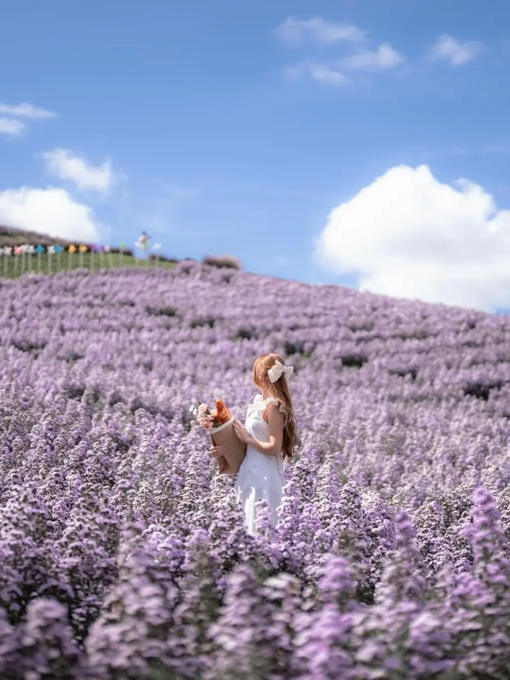 Hydrangea Cafe | แกลเลอรีที่โพสต์โดย Lazy Coup | Lemon8