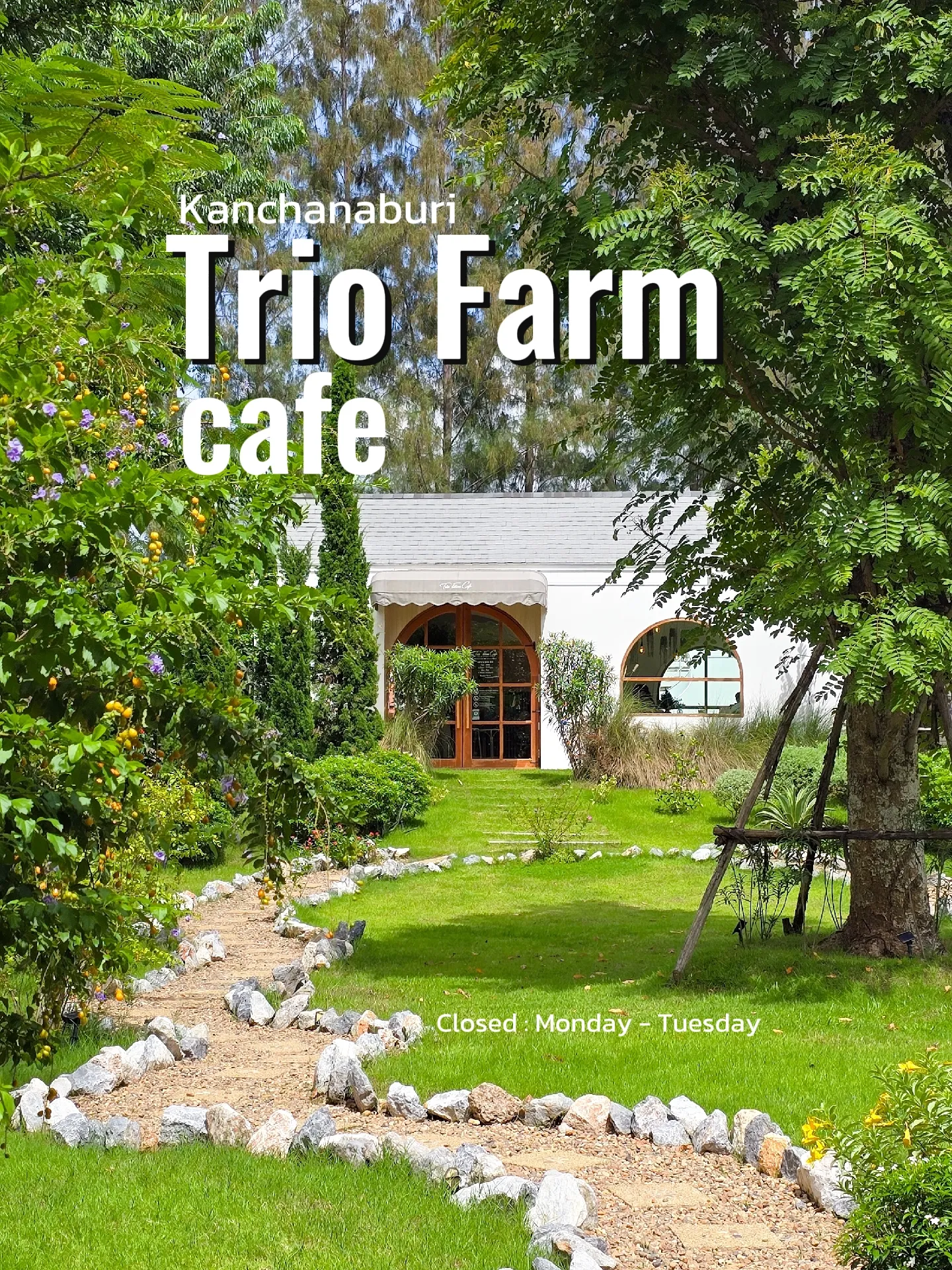 Trio Farm คาเฟ่ลับสุดสงบ จ.กาญจนบุรี | แกลเลอรีที่โพสต์โดย Jubarsdairy ...