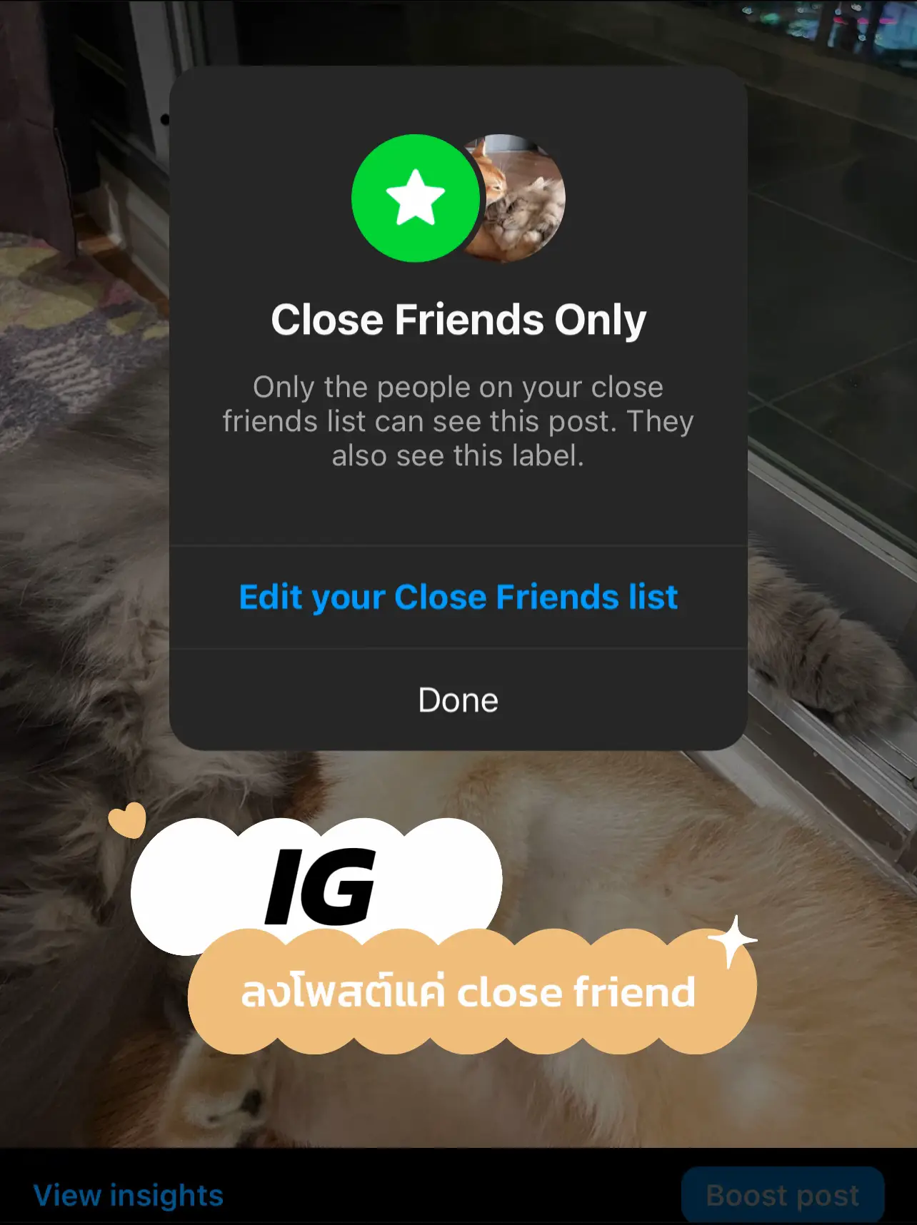 IG ลงโพสต์แบบ close friends ได้แล้วนะะ🌝 | แกลเลอรีที่โพสต์โดย めじこ🧚🏻‍♀️ ...