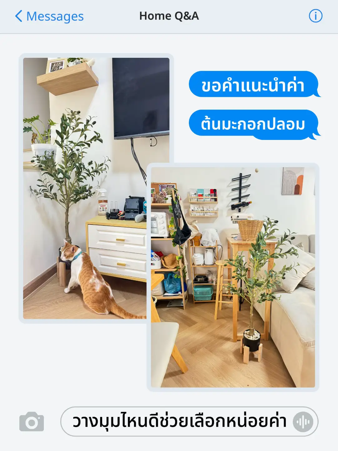 Home Q&A:ช่วยเลือหน่อยค่าวางมุมไหนดี? | แกลเลอรีที่โพสต์โดย Mekyo Home | Lemon8