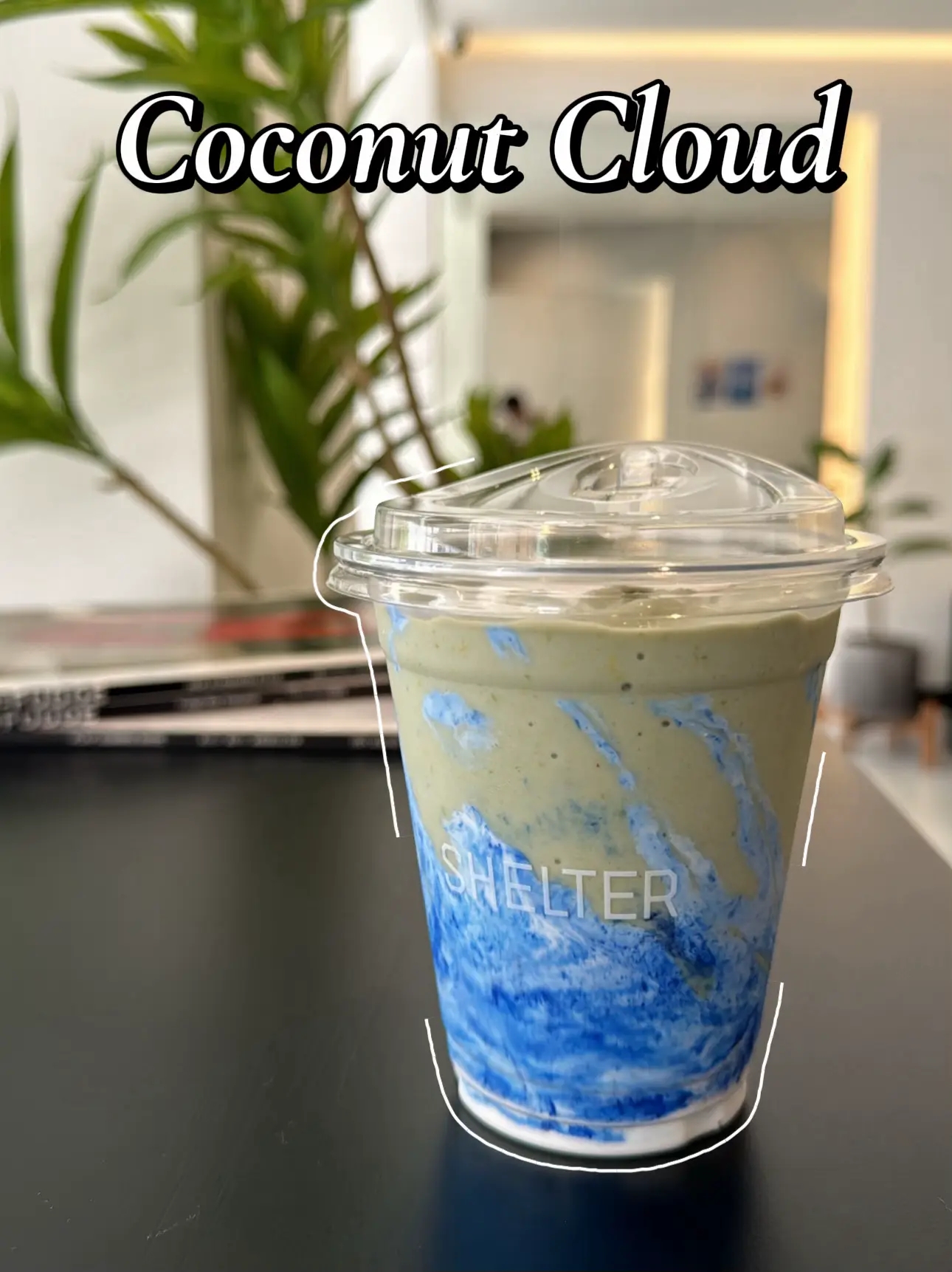 Coconut Cloud | Shelter | แกลเลอรีที่โพสต์โดย Espresso | Lemon8