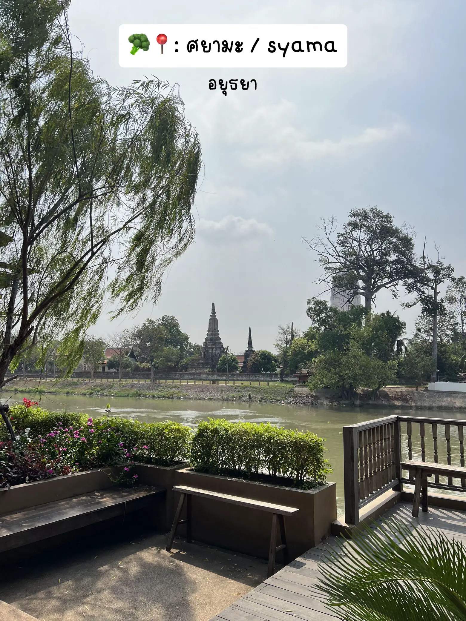 Syama คาเฟ่เรือนไทยริมน้ำ บรรยากาศดีขนมอร่อย 💖 | แกลเลอรีที่โพสต์โดย เด็กชายภีม 🥦 | Lemon8