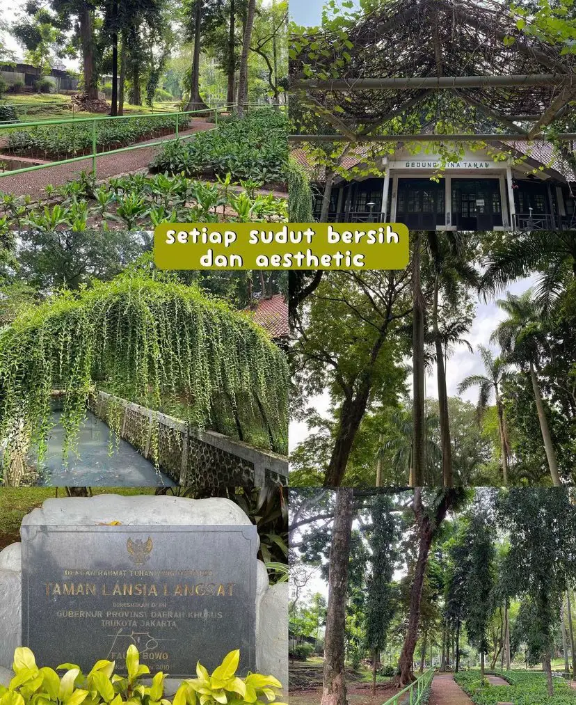 Taman aesthetic di tengah kota Jakarta Selatan🌿 | Galeri diposting oleh Dafne J | Lemon8
