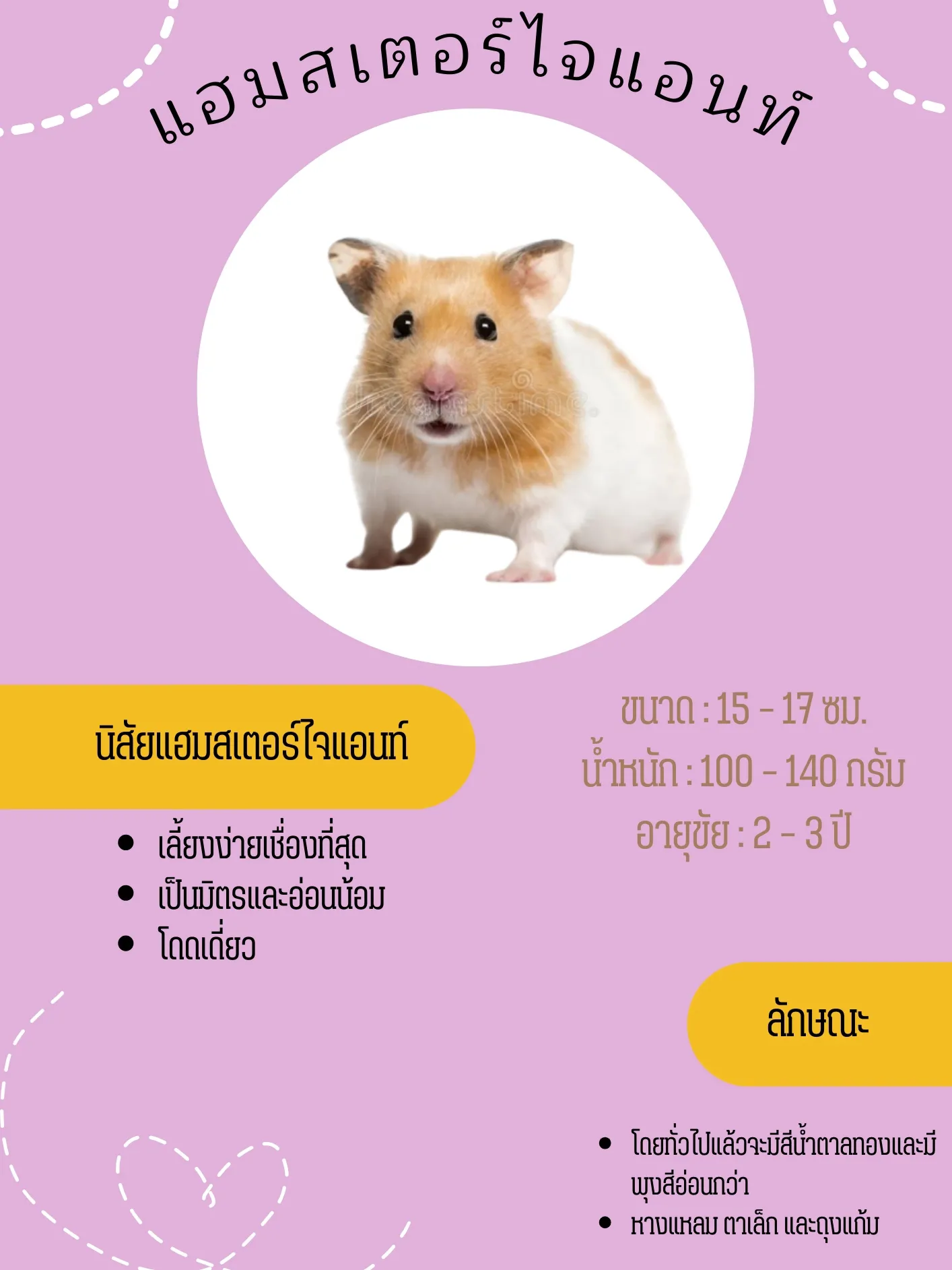 สายพันธุ์เจ้าหนูแฮมสเตอร์🐹 | แกลเลอรีที่โพสต์โดย Panicha Yodphin | Lemon8