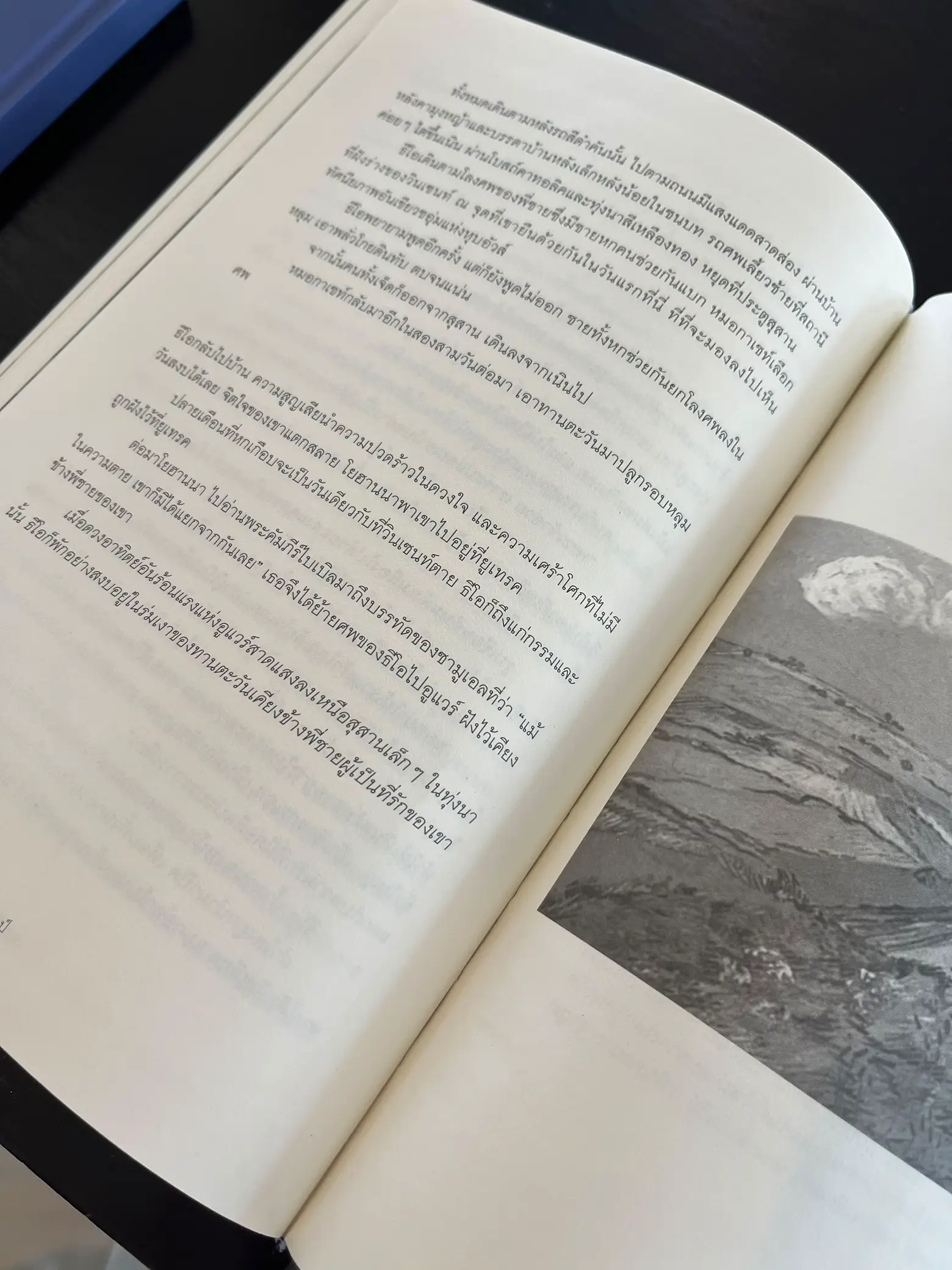 นวนิยายชีวิต vincent Van Gogh 🌻 | แกลเลอรีที่โพสต์โดย Fay Chayanee | Lemon8