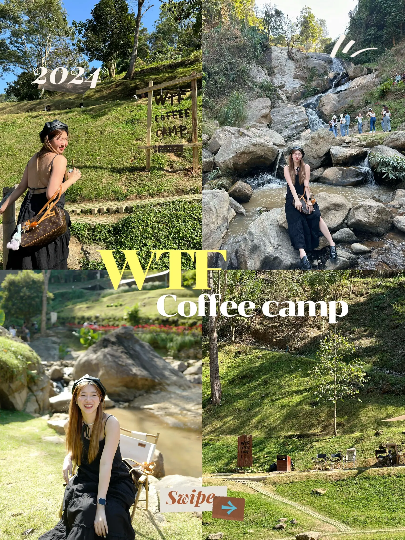 WTF coffee camp : คาเฟ่เชียงใหม่ที่ถูกต้องง🍃☕️ | แกลเลอรีที่โพสต์โดย ...