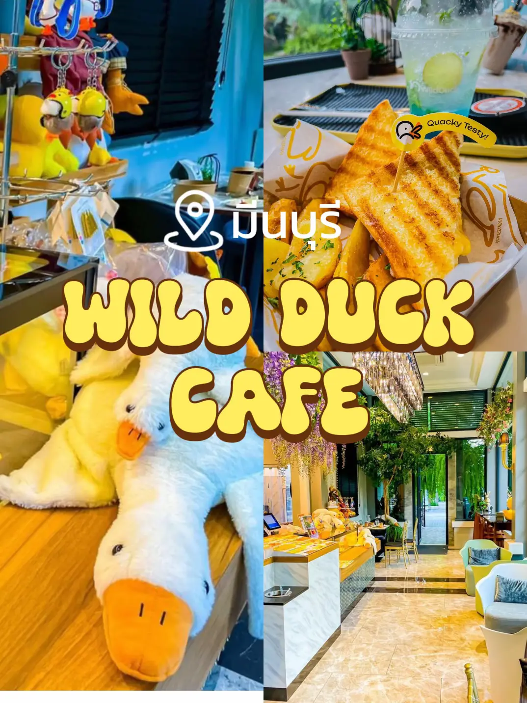 Wild Duck Cafe คาเฟ่เป็ด ย่านมีนบุรี | แกลเลอรีที่โพสต์โดย riangploy | Lemon8