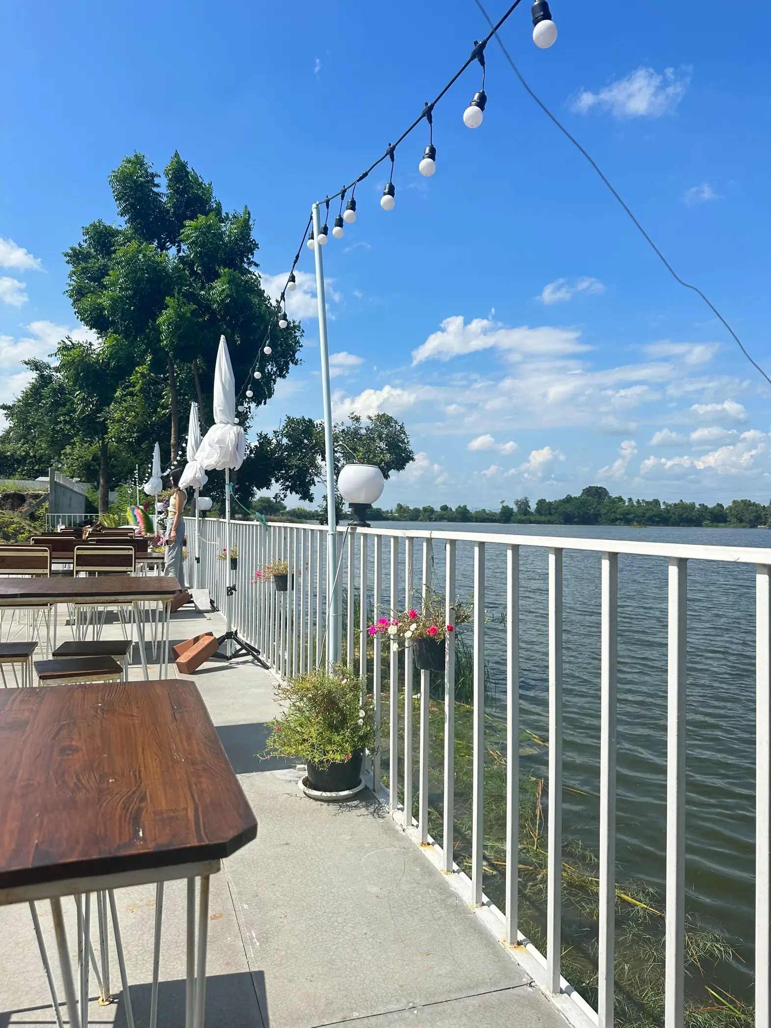 Lagune cafe อ.บ้านหมอ จ.สระบุรี | แกลเลอรีที่โพสต์โดย Anusara Pumpiku | Lemon8