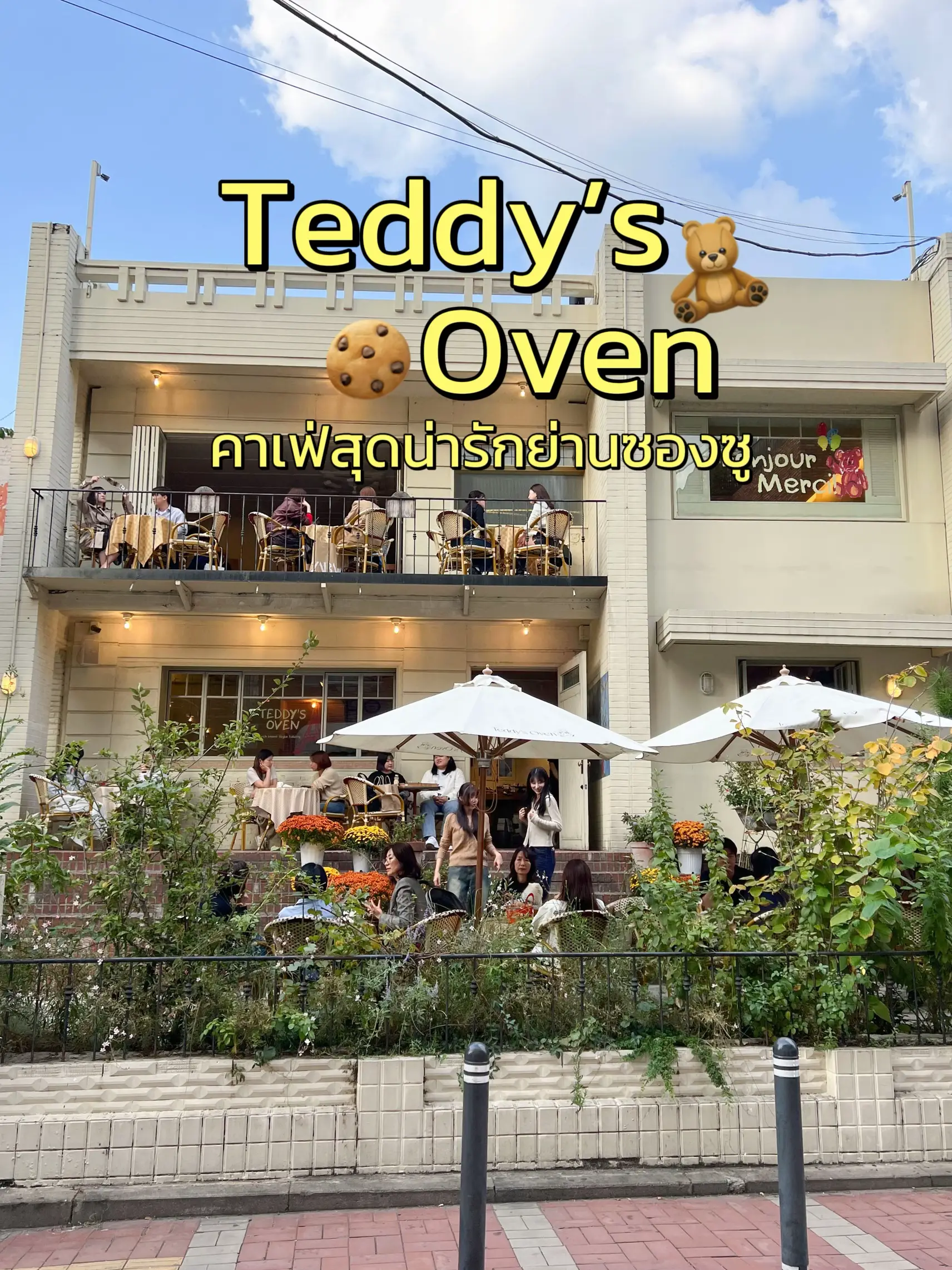 Teddy’s Oven ร้านคาเฟ่หมีสุดน่ารัก 🧸 | Gallery posted by mameaw | Lemon8