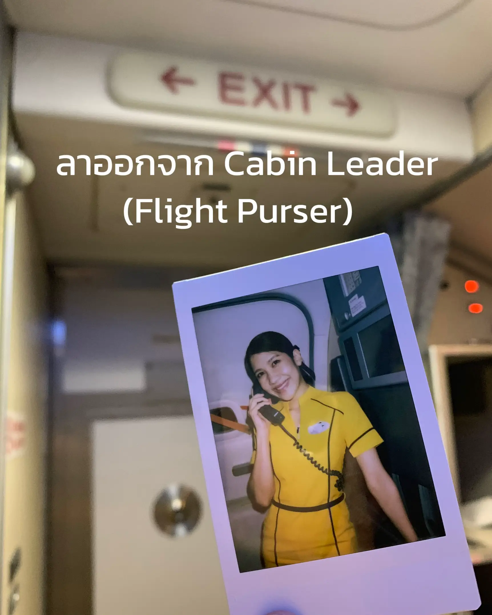 ลาออกจาก Cabin Leader (Flight Purser) | แกลเลอรีที่โพสต์โดย Maprang ...